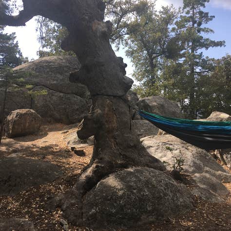 Idyllwild Campground Camping | The Dyrt