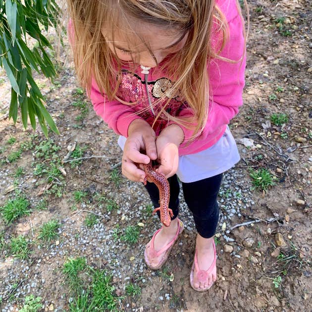 CampFire Ridge RV Park | Campbellsville, Kentucky