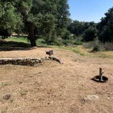 Bogart County Park Camping | The Dyrt