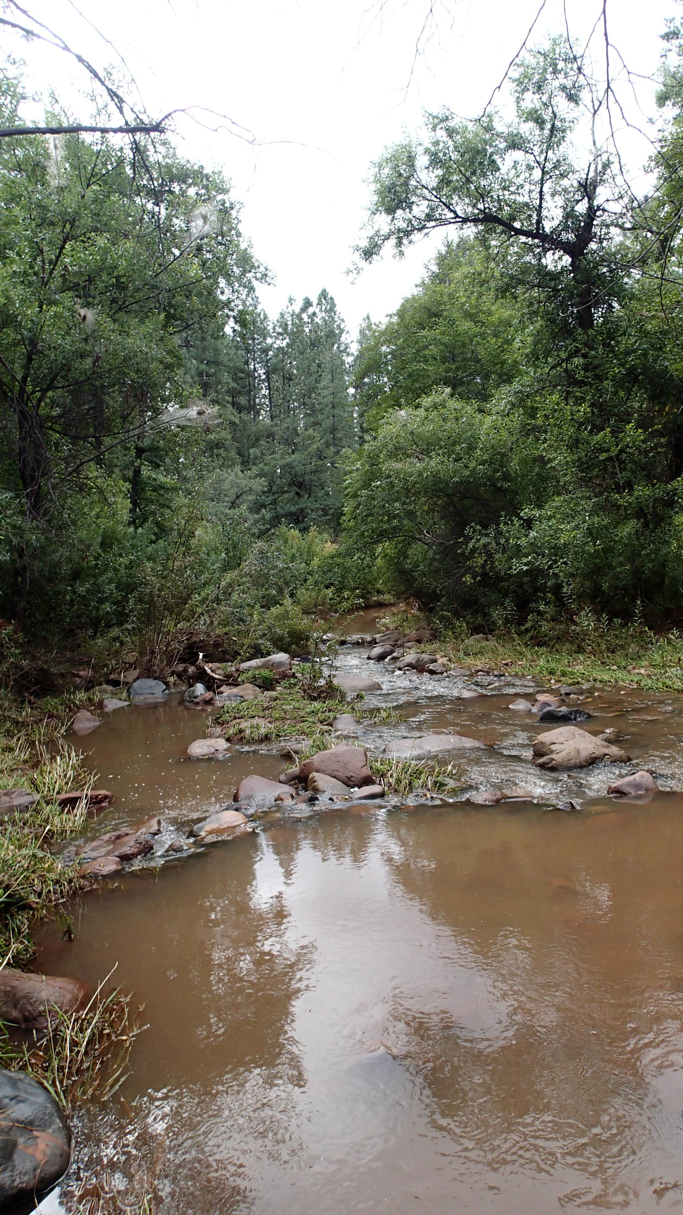 Lower Tonto Creek Camping | Kohls Ranch, AZ