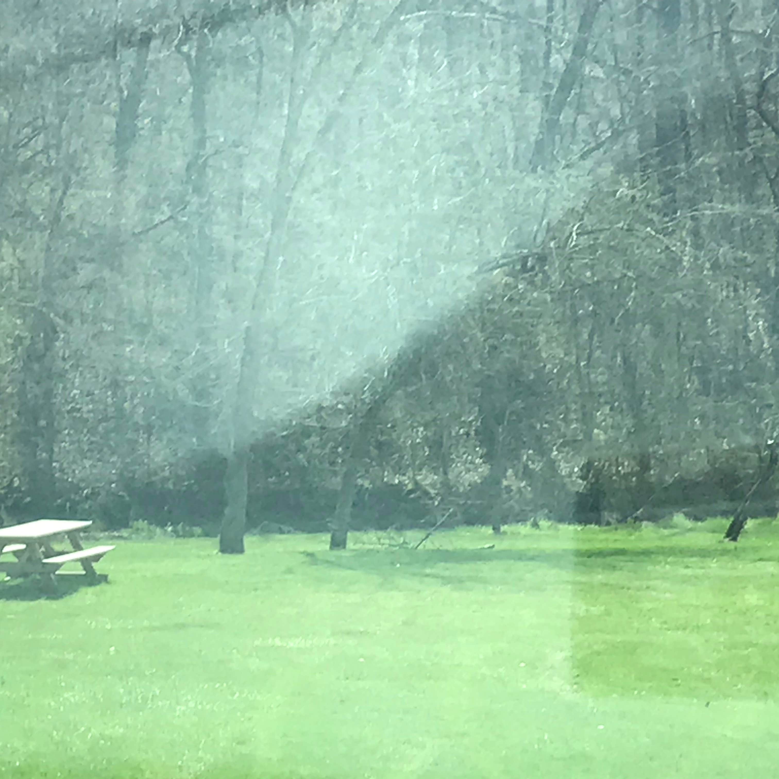 Sidie Hollow County Main Campground Camping | The Dyrt