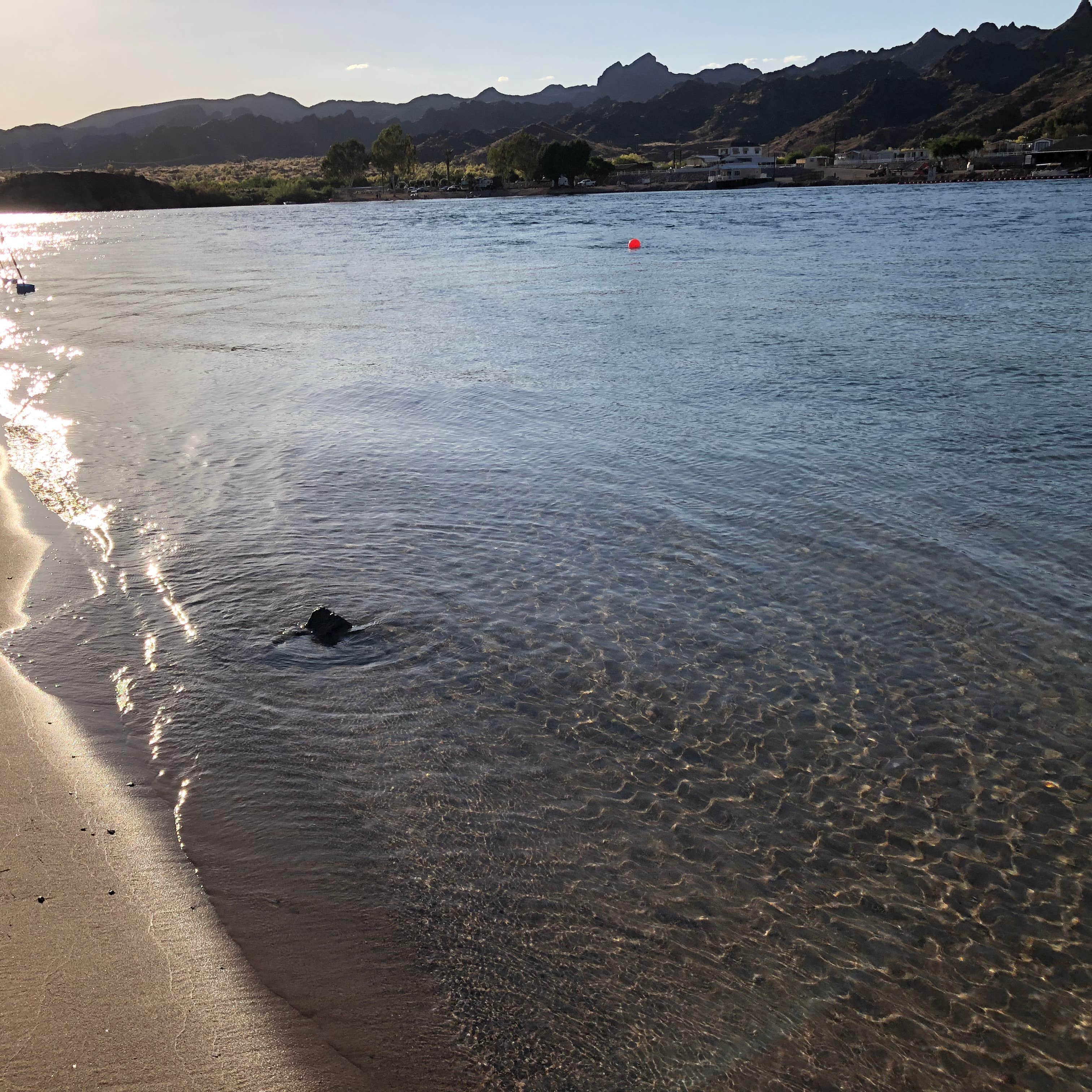 Buckskin Mountain State Park Camping | The Dyrt