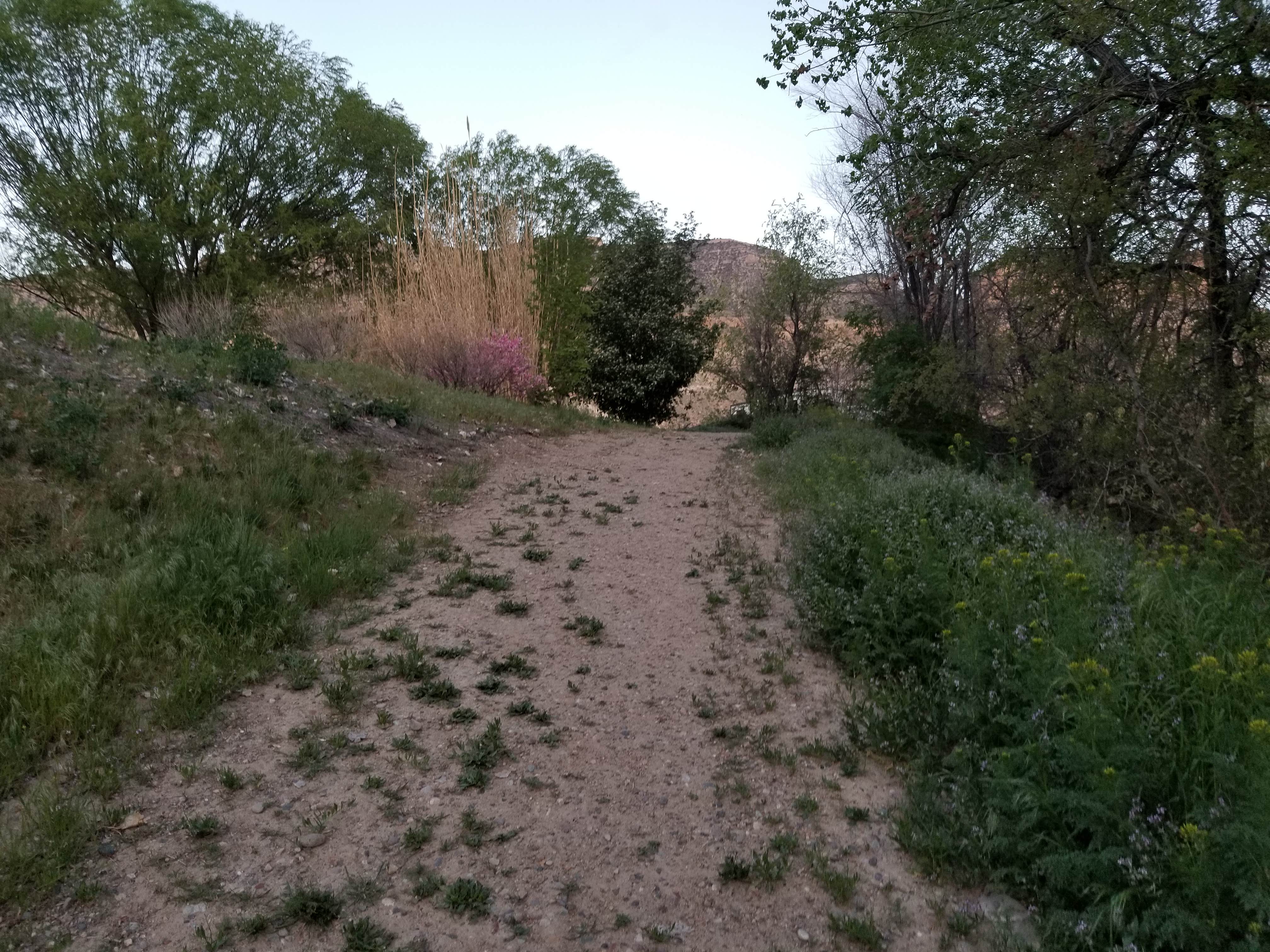 Palisade Basecamp RV Resort | Palisade, CO