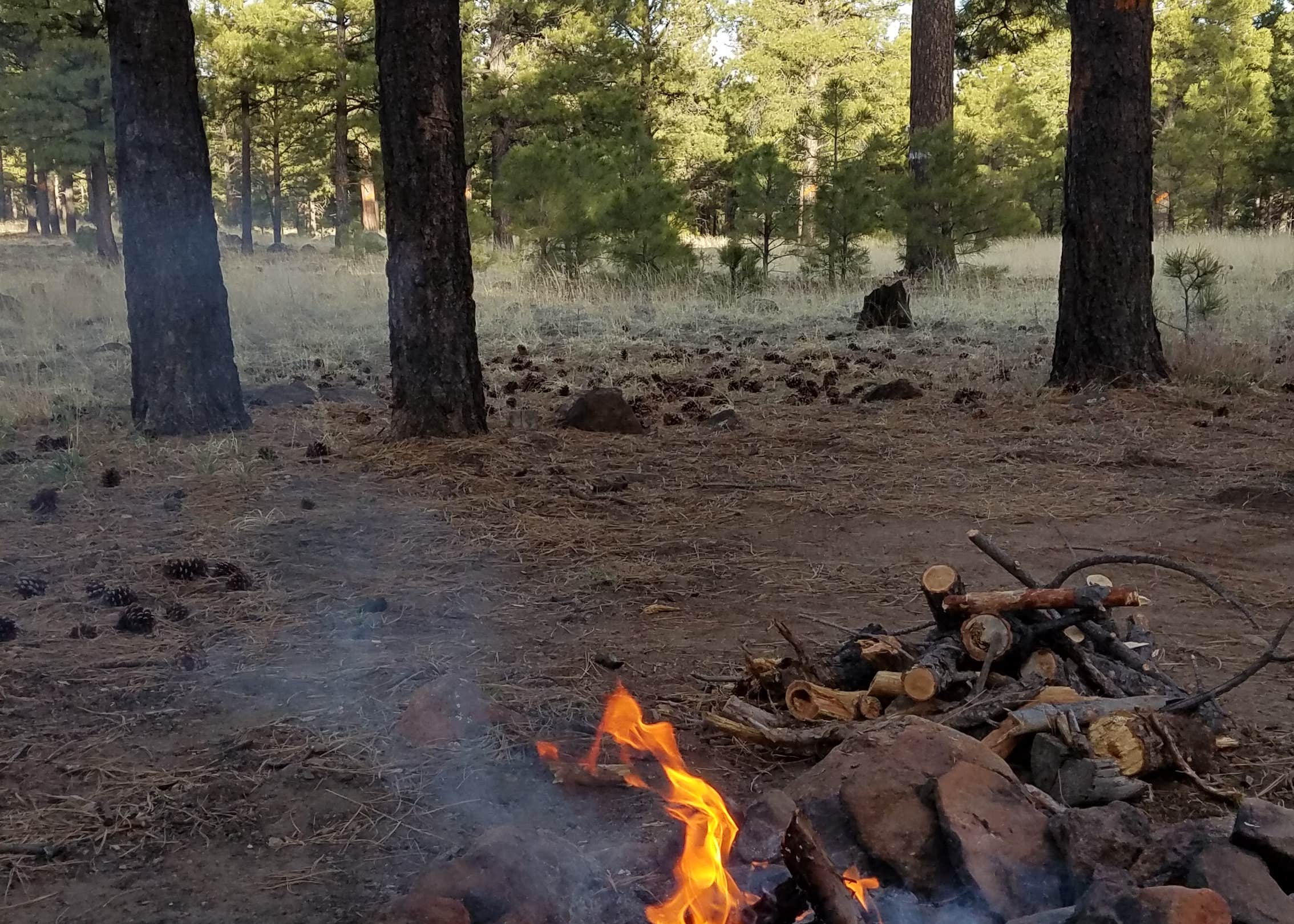 Lockett Meadow Dispersed Camping Camping | The Dyrt