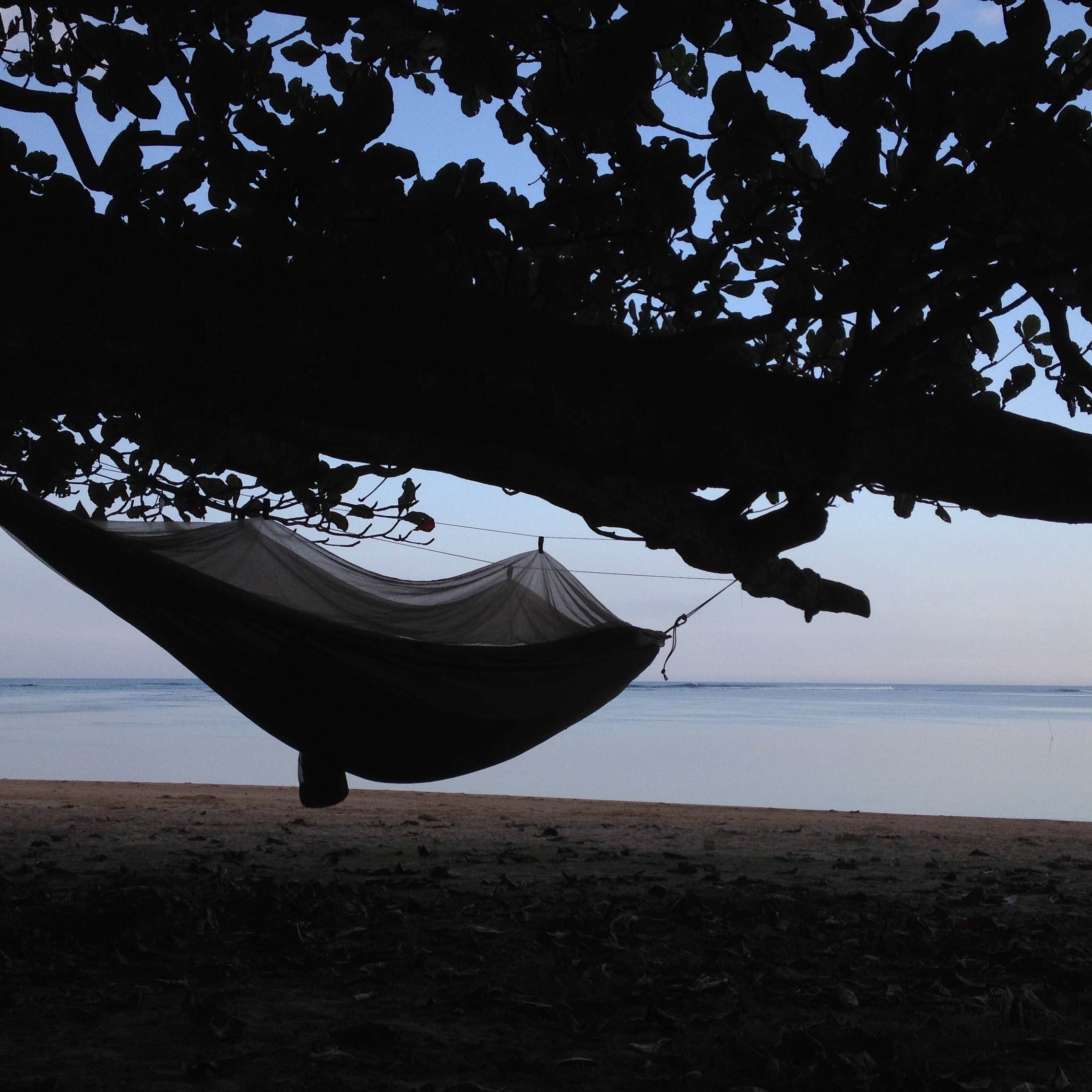 Anini Beach Park Camping | The Dyrt