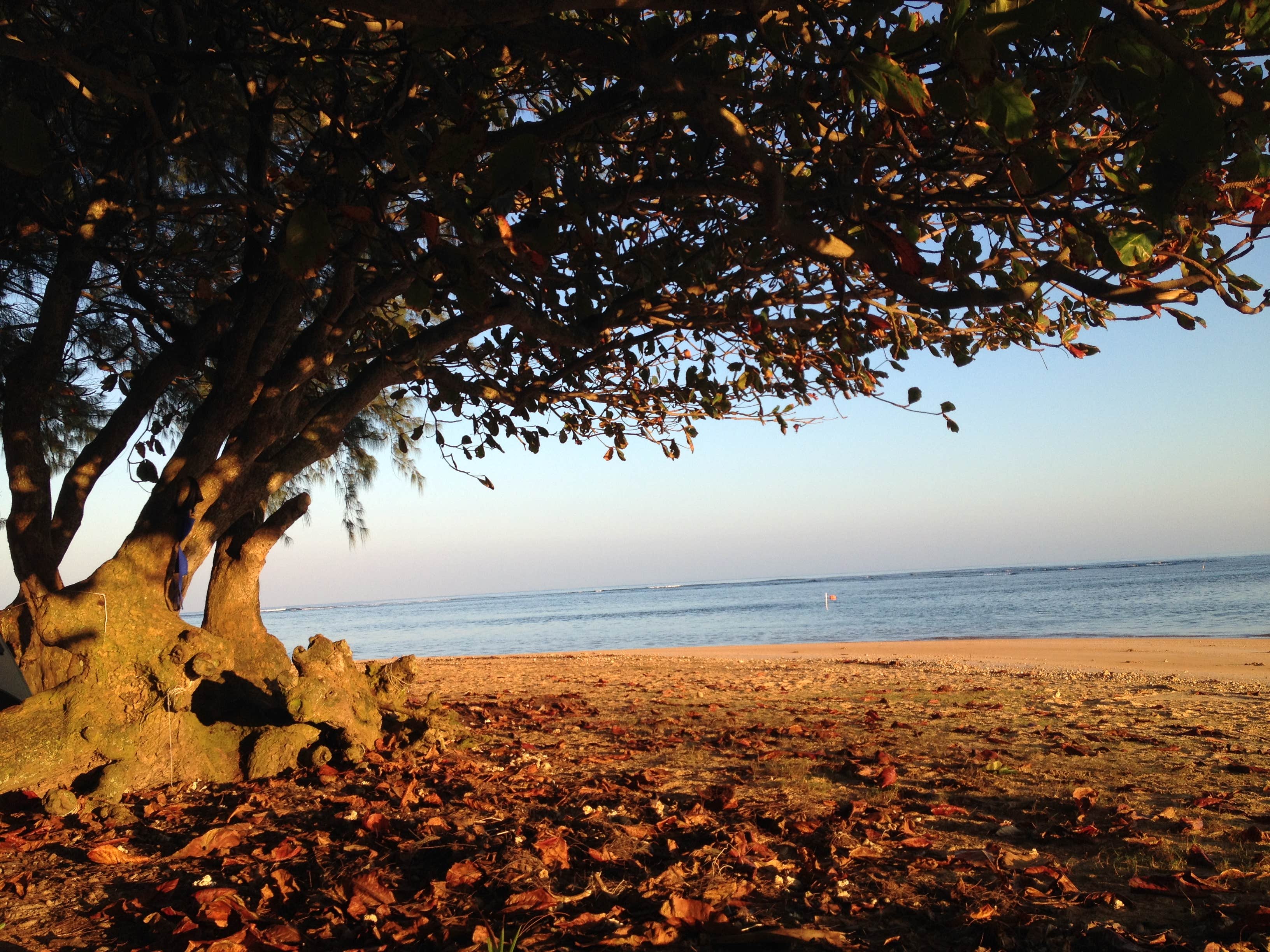 Anini Beach Park Camping | The Dyrt