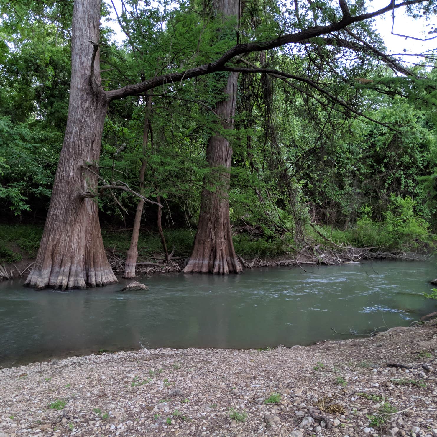Alamo River RV Ranch Resort & Campground | Von Ormy, Texas
