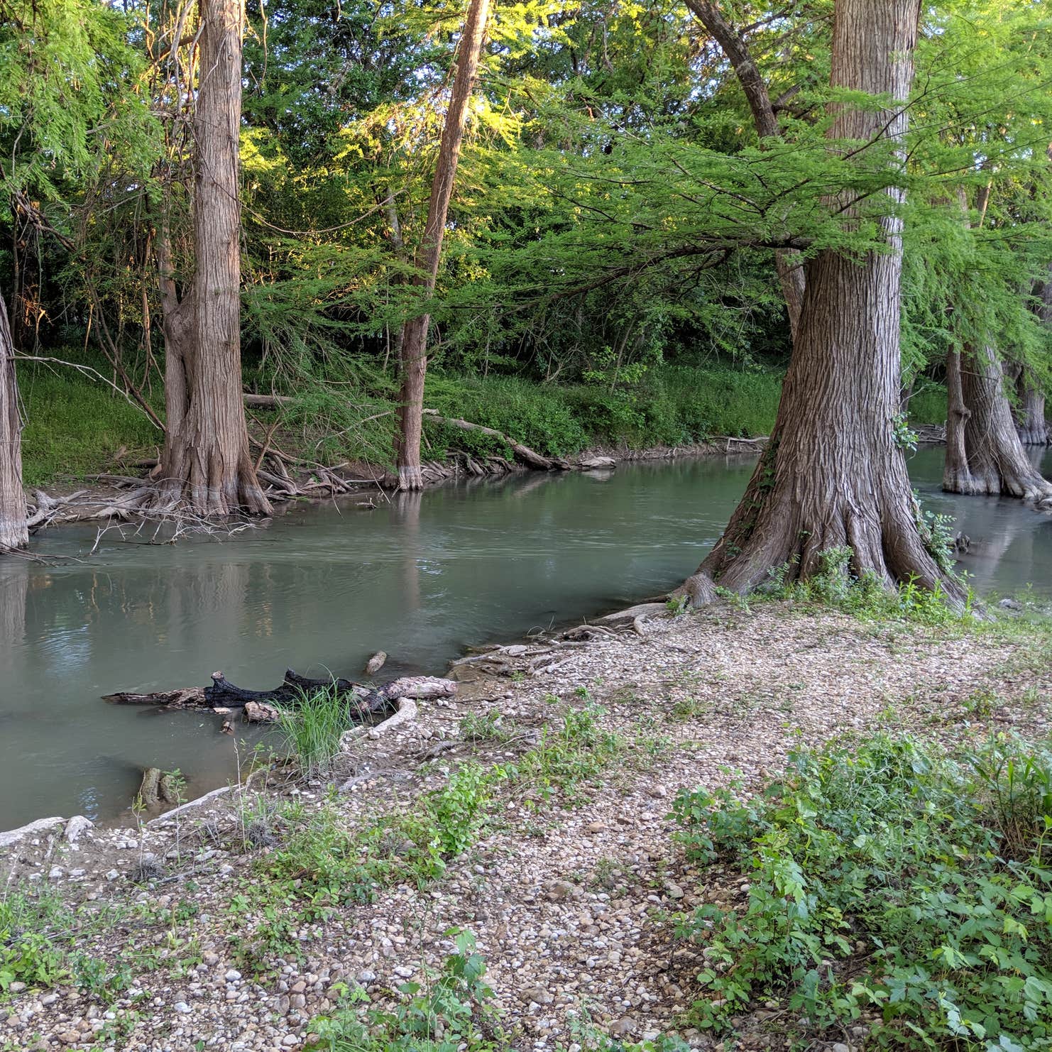 Alamo River RV Ranch Resort & Campground | Von Ormy, Texas