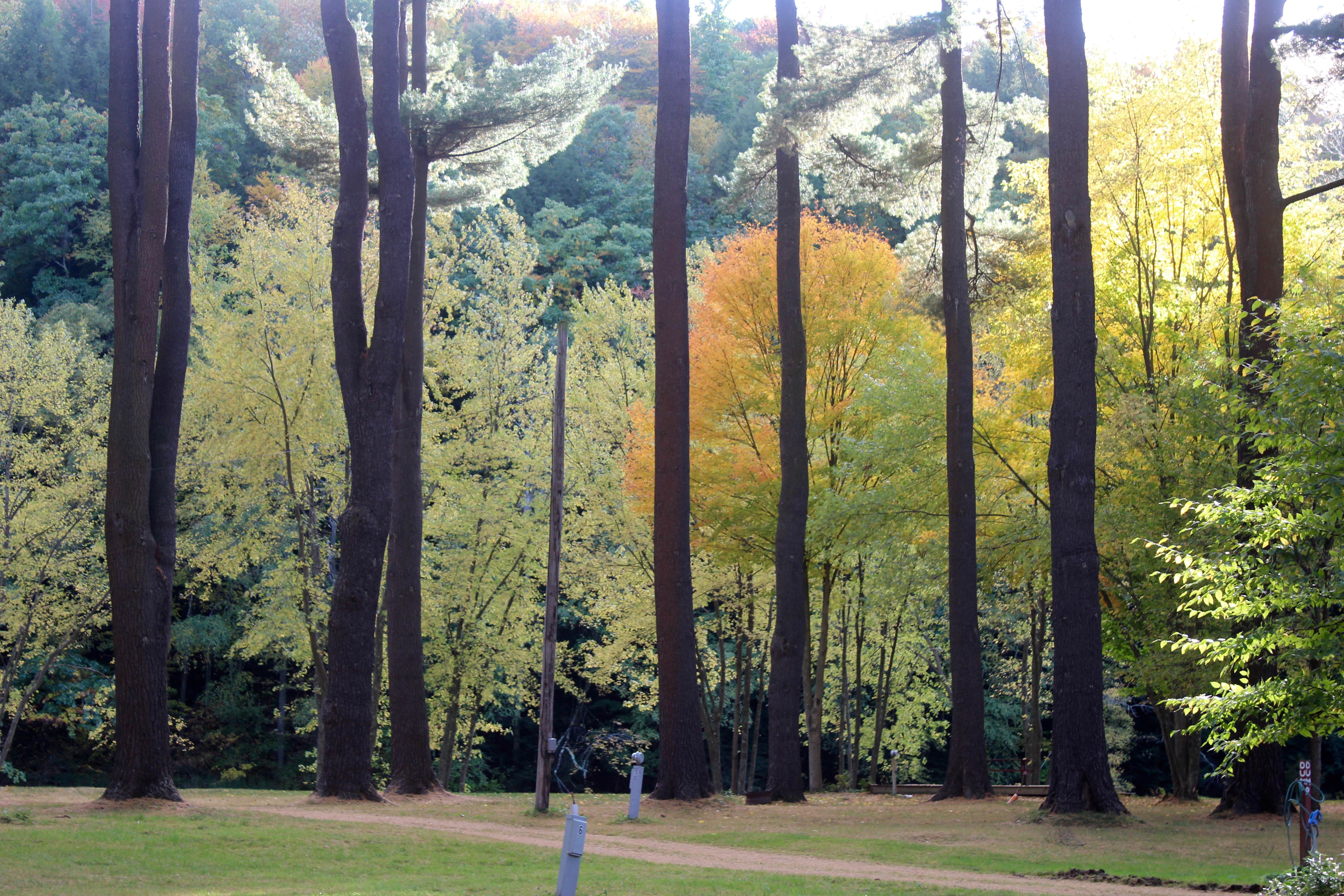 Riverhurst Park Campground | Portville, New York
