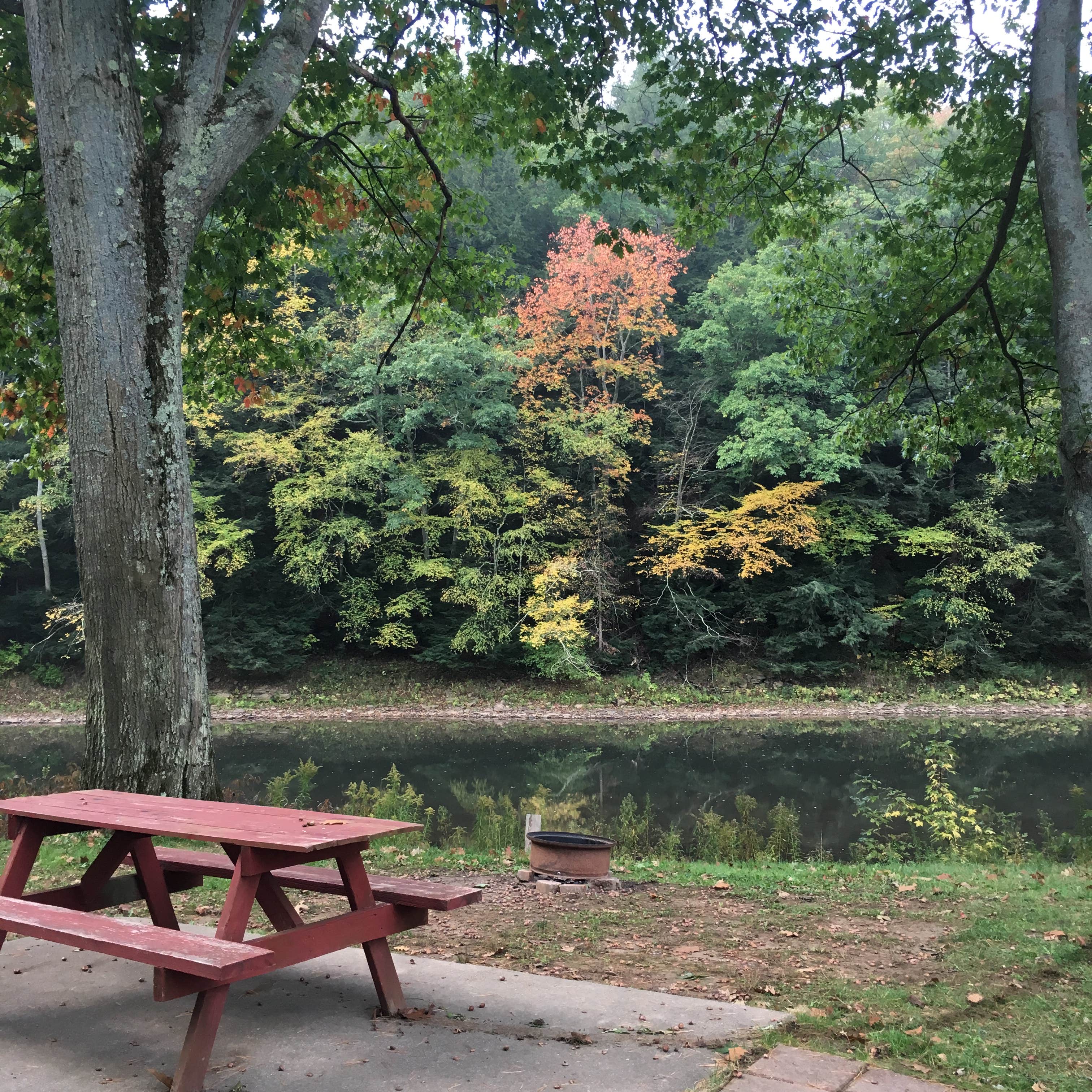 Riverhurst Park Campground | Portville, New York