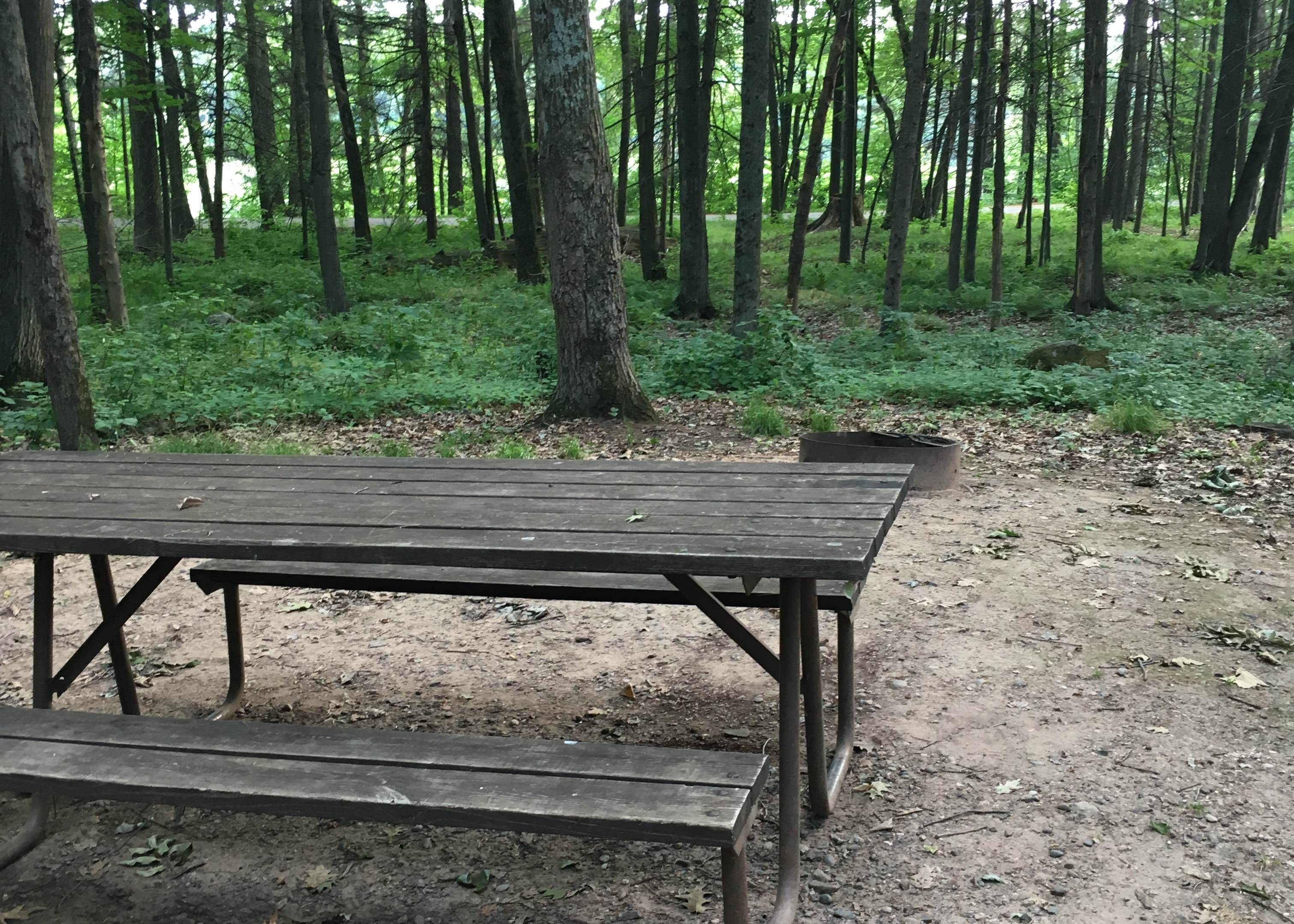 Council Grounds State Park Camping | The Dyrt