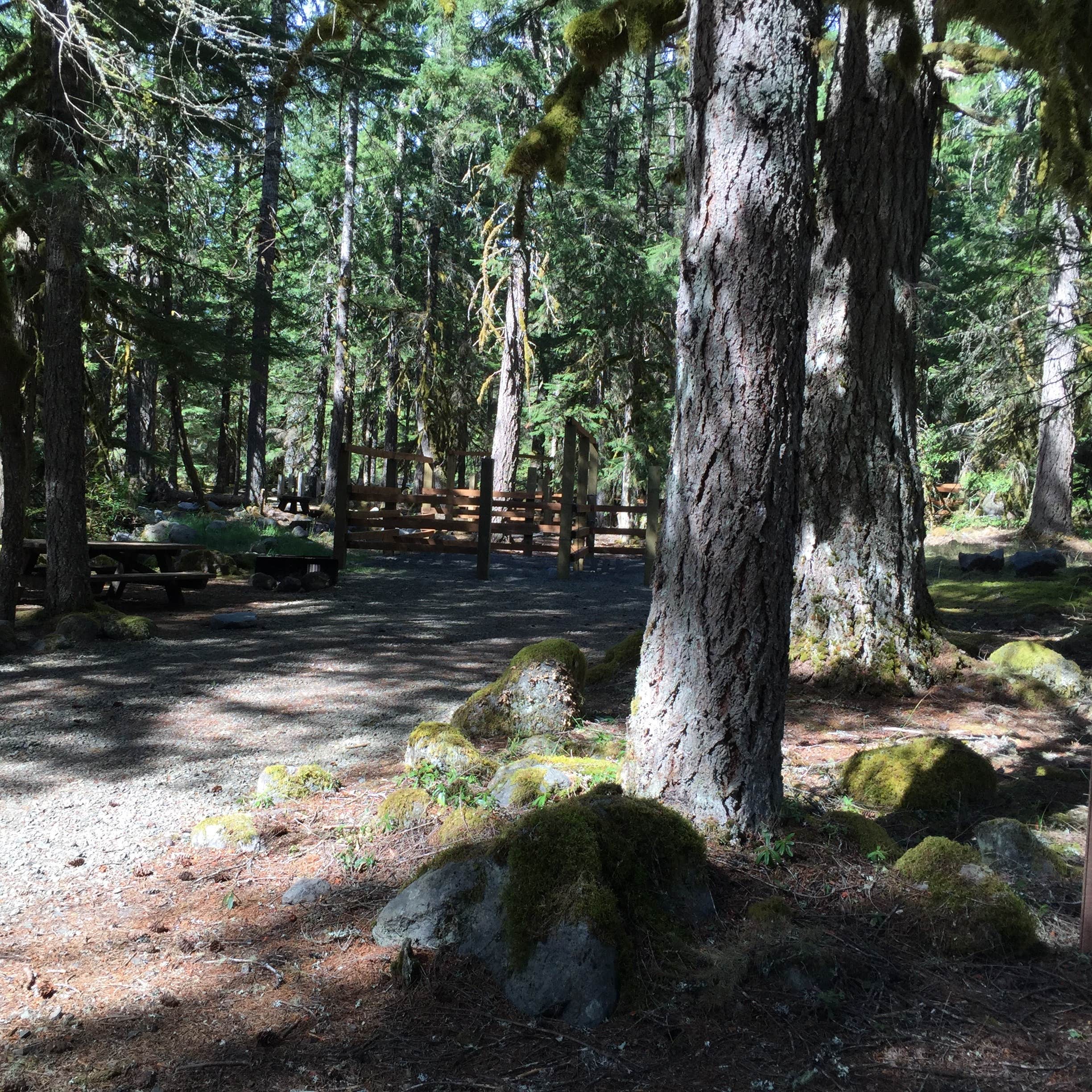 Riley Horse Campground Camping | The Dyrt