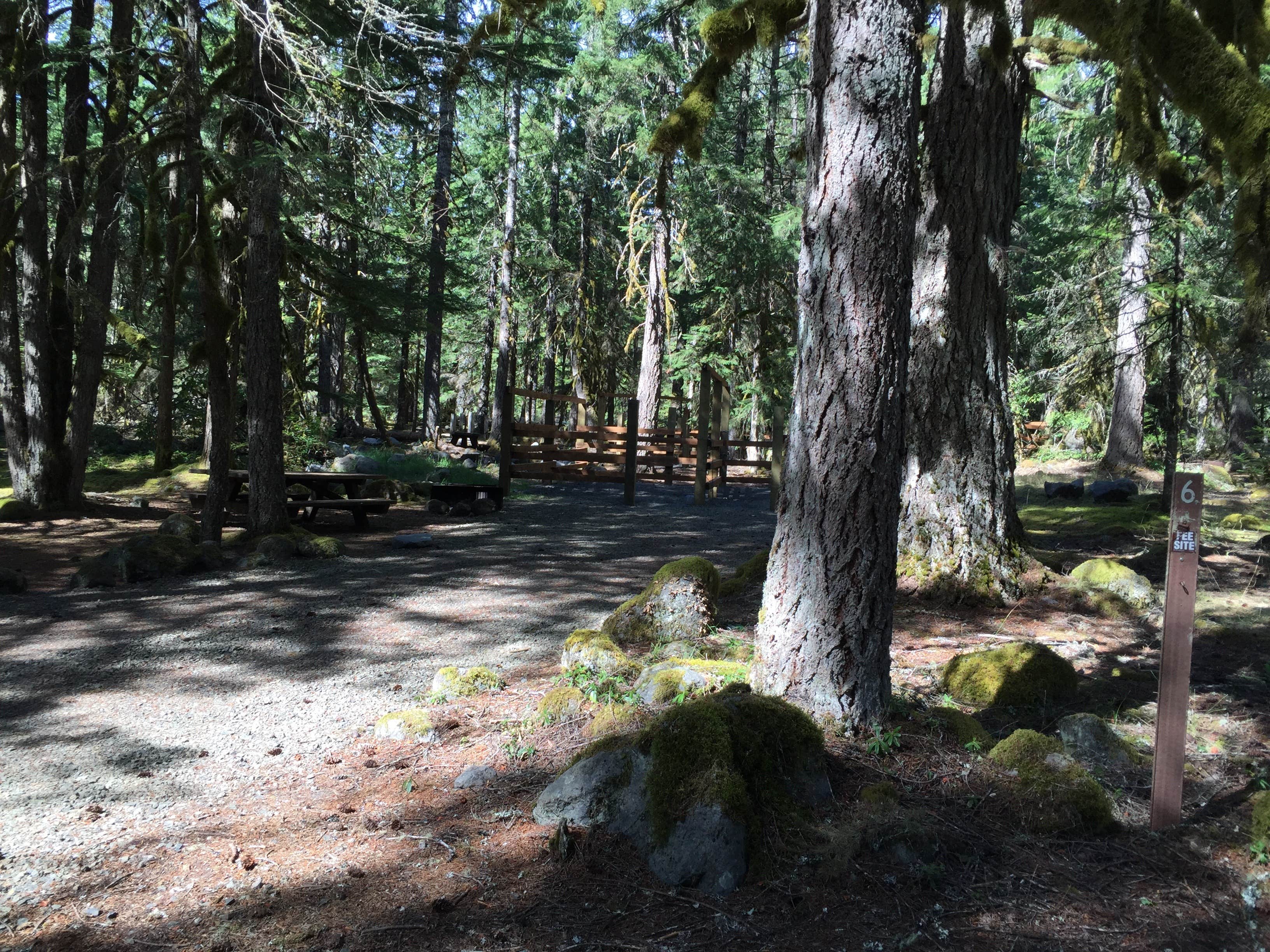 Riley Horse Campground | Rhododendron, OR