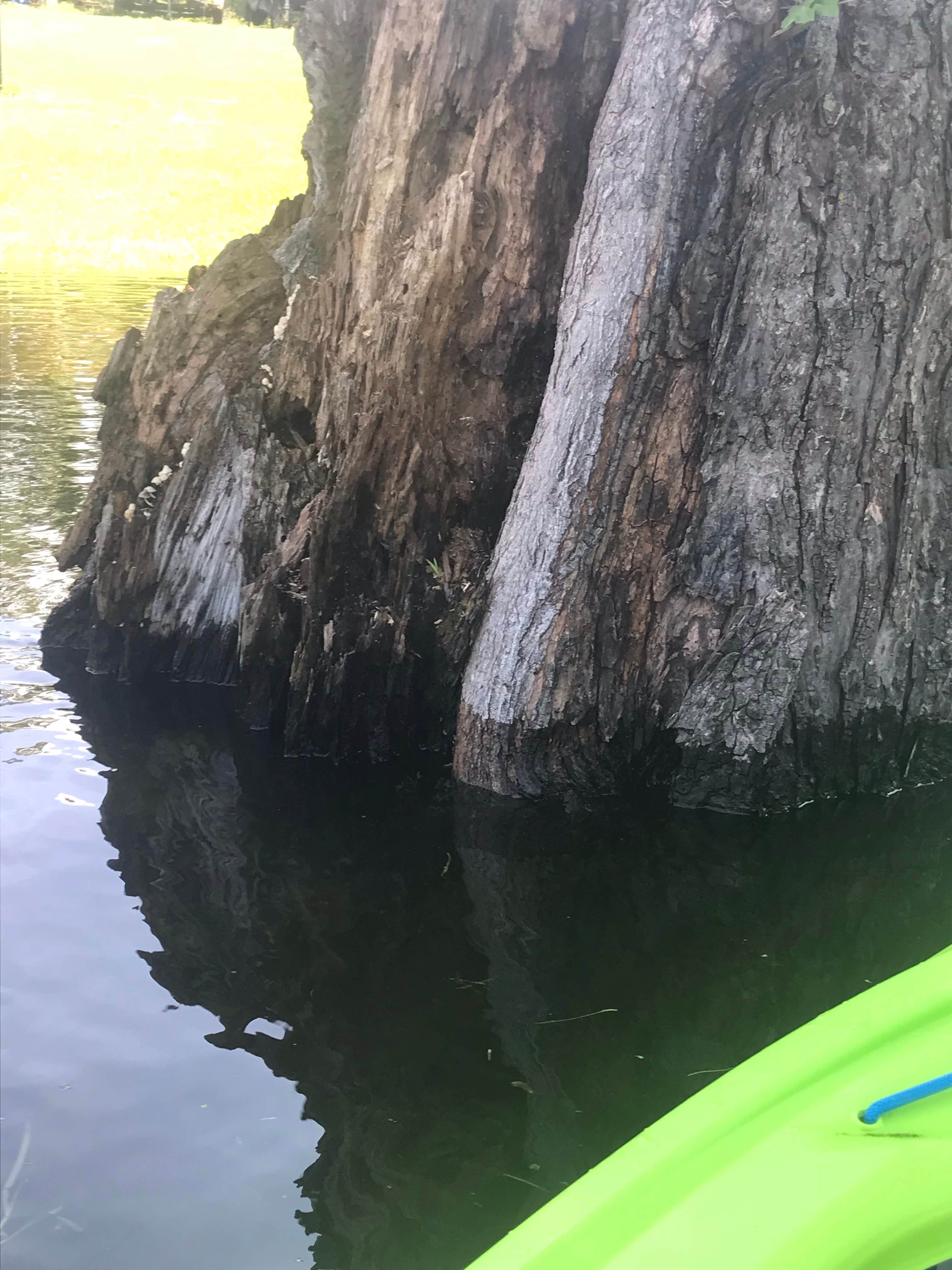 Pettibone Resort Camping | La Crosse, WI