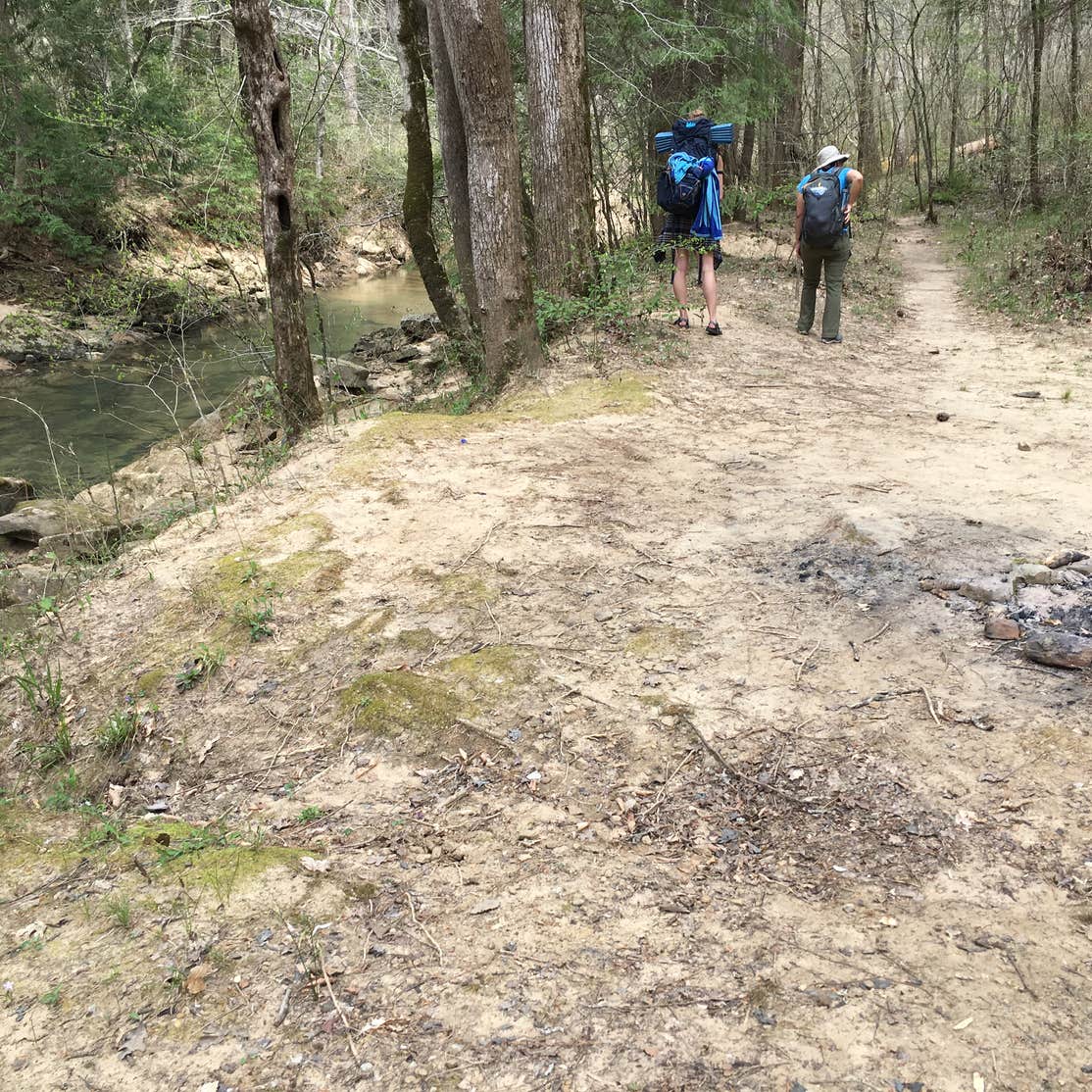 Sipsey Wilderness Backcountry Site (Trail 203 Site A) Camping ...