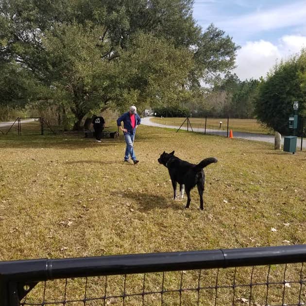 Bay Hide Away RV Park And Campground Camping | The Dyrt