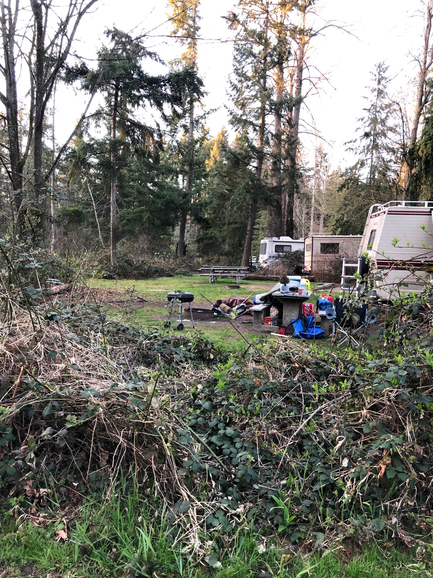 Dash Point State Park Camping | The Dyrt