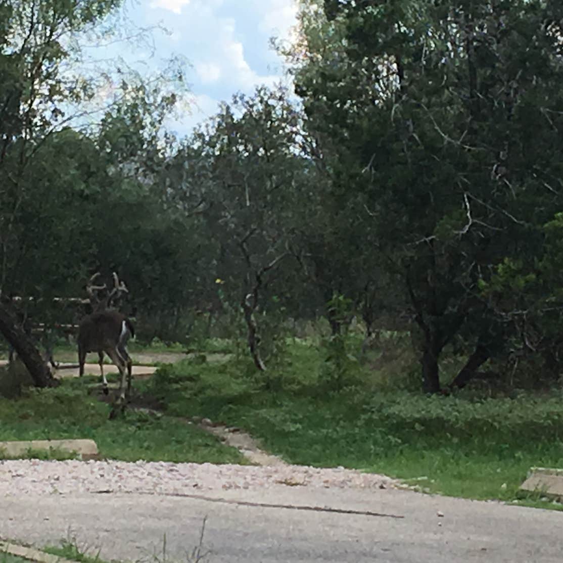 Pedernales Falls State Park Camping | The Dyrt