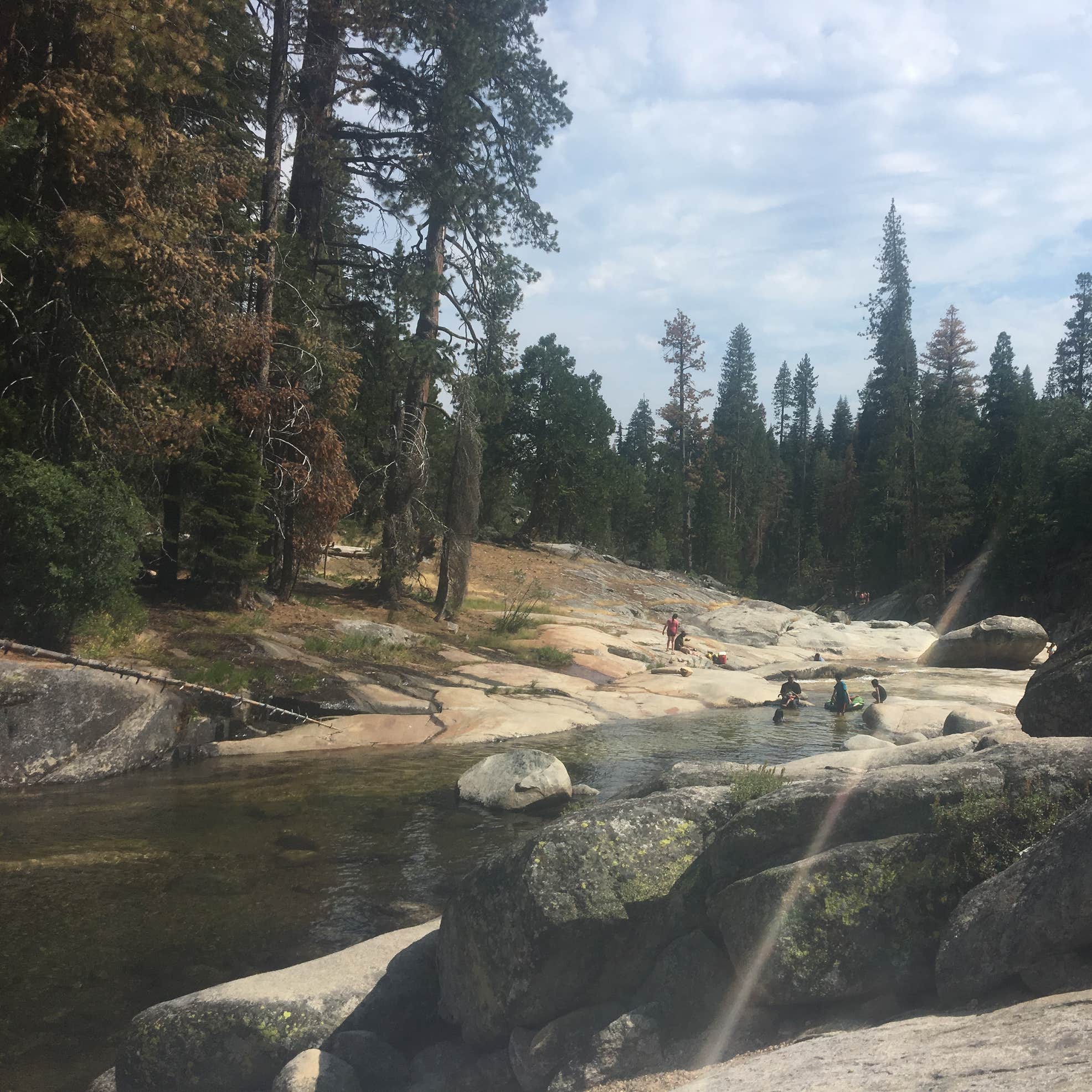 Dinkey Creek Camping | The Dyrt