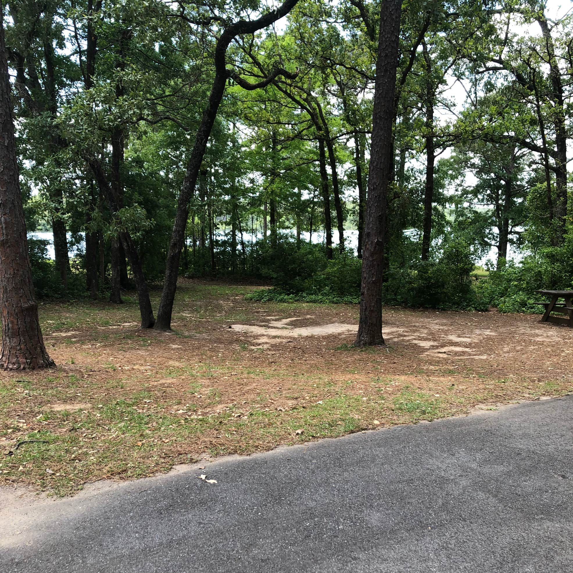 Hurricane Lake North Camping | The Dyrt