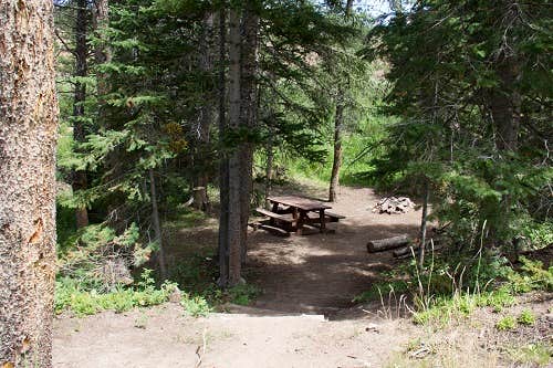 Beaver Meadows Resort Ranch Camping | Red Feather Lakes, Colorado