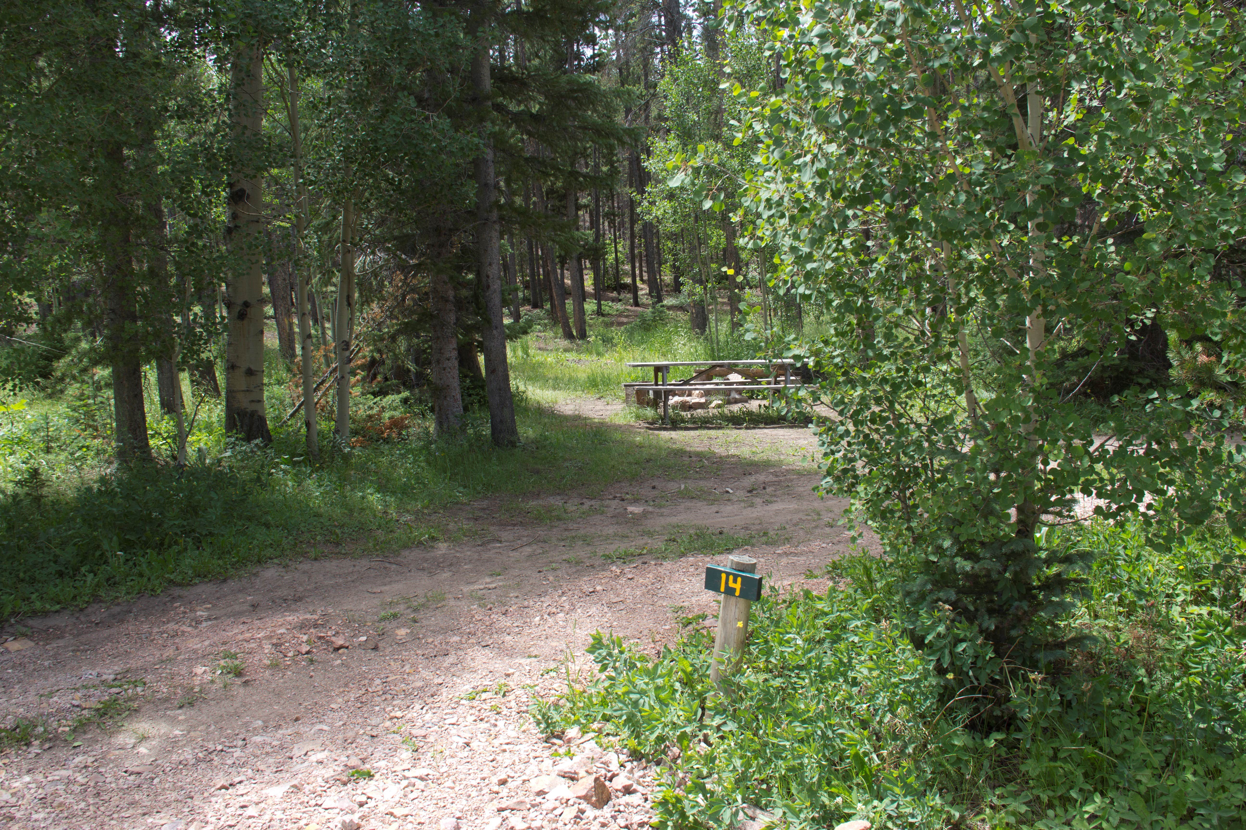 Beaver Meadows Resort Ranch Camping | Red Feather Lakes, Colorado