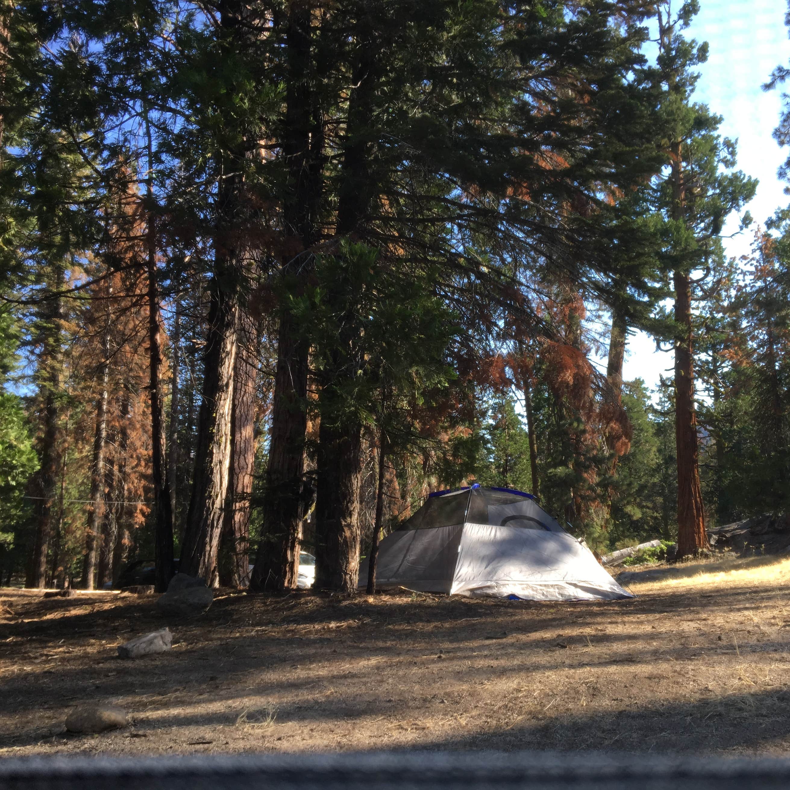 Dinkey Creek Camping | The Dyrt