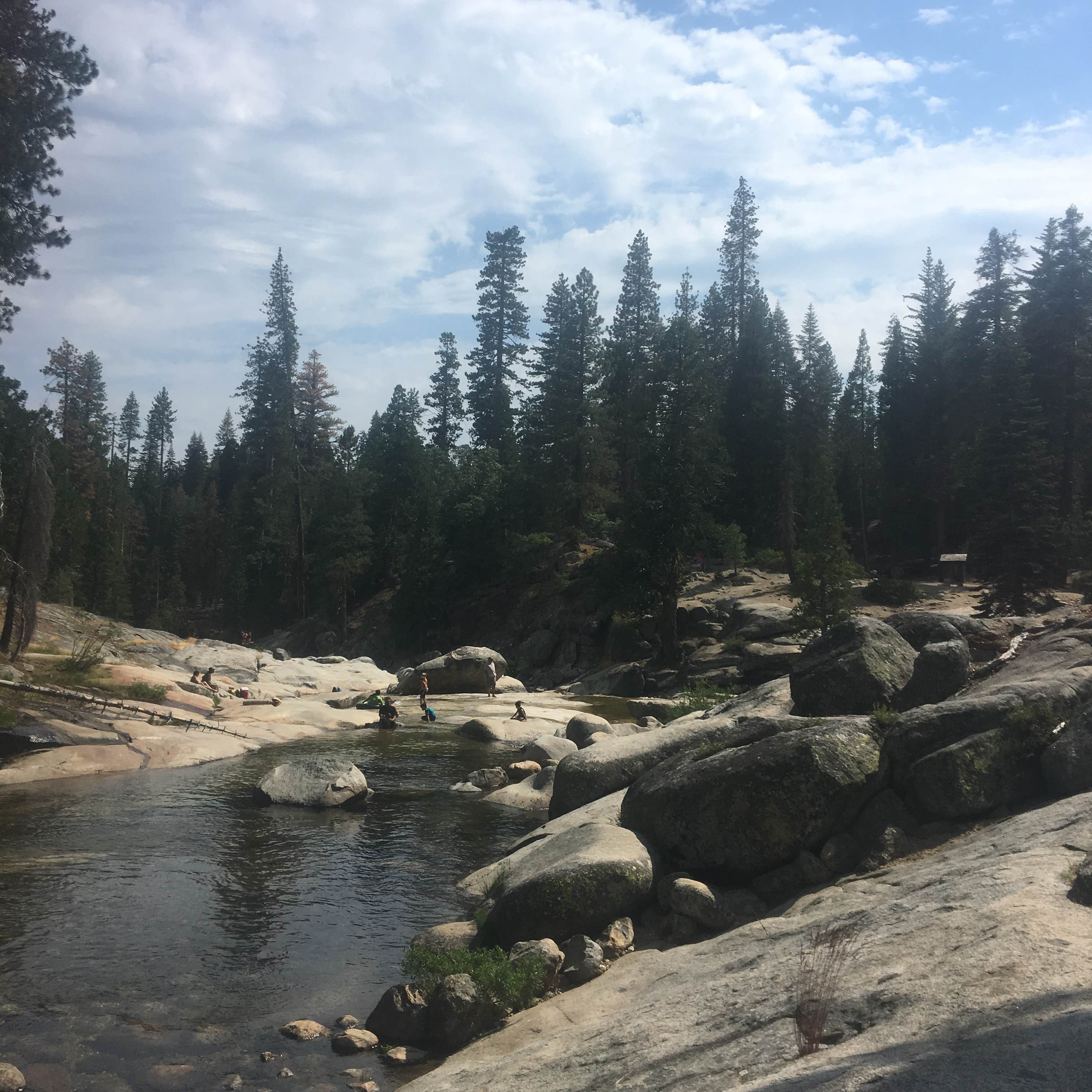 Dinkey Creek Camping | The Dyrt