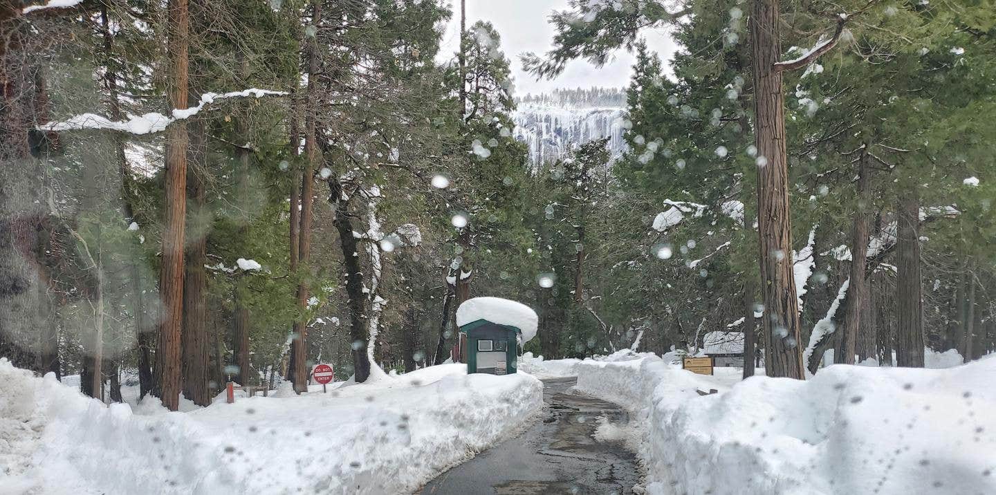 Camping near Yosemite National Park, CA: 50+ Best Places to Camp