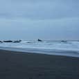 Mattole Campground Camping | The Dyrt