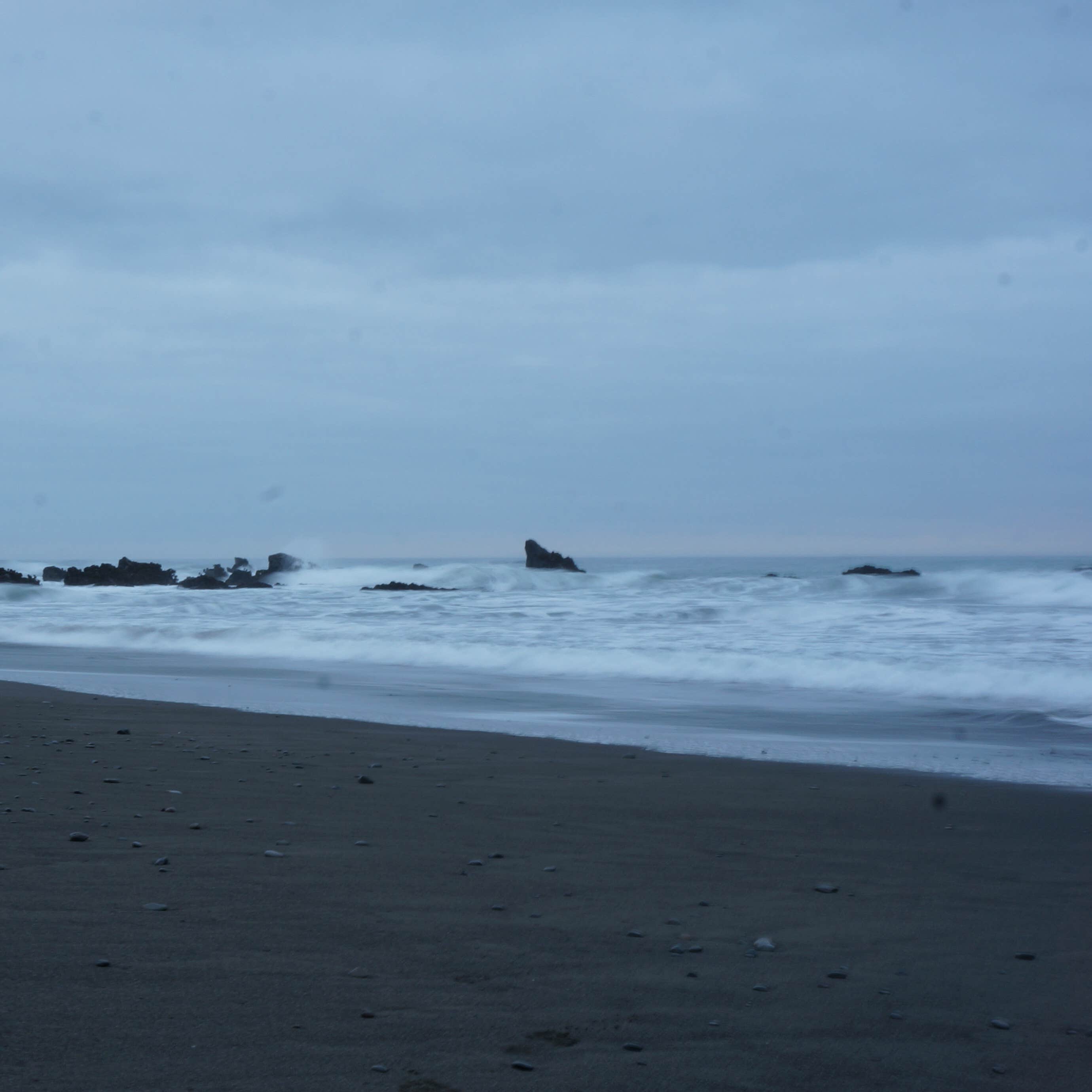 Mattole Campground Camping | The Dyrt