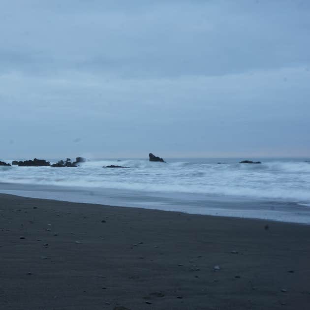 Mattole Campground Camping | The Dyrt