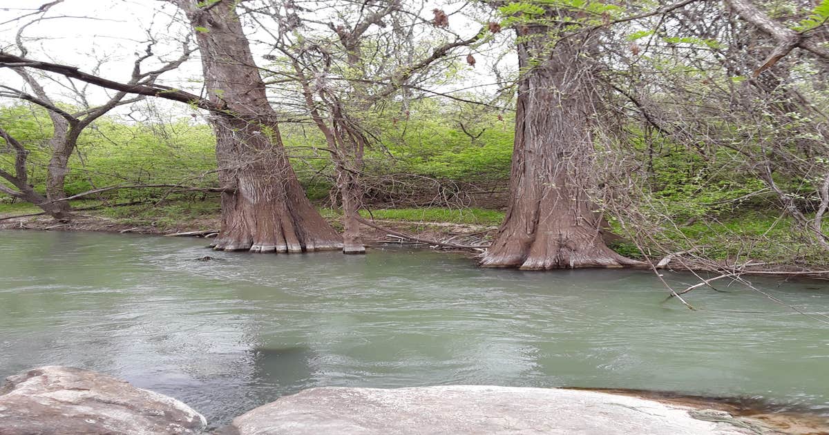 Alamo River RV Ranch Resort & Campground Camping | The Dyrt