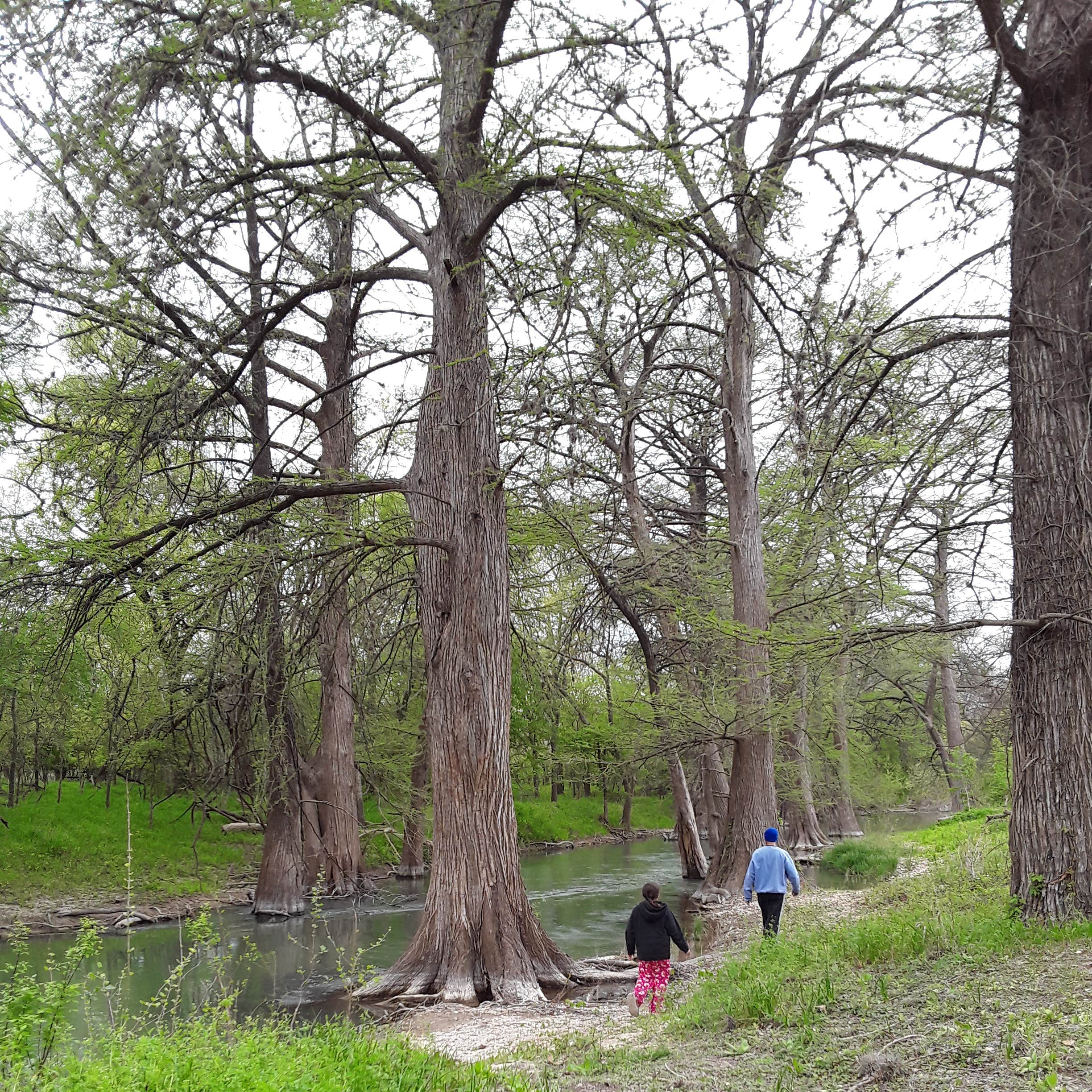 Alamo River RV Ranch Resort & Campground Camping | The Dyrt