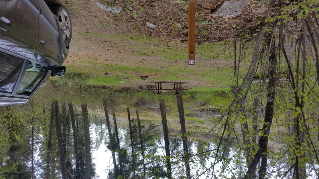 Lake Ellen | The Dyrt