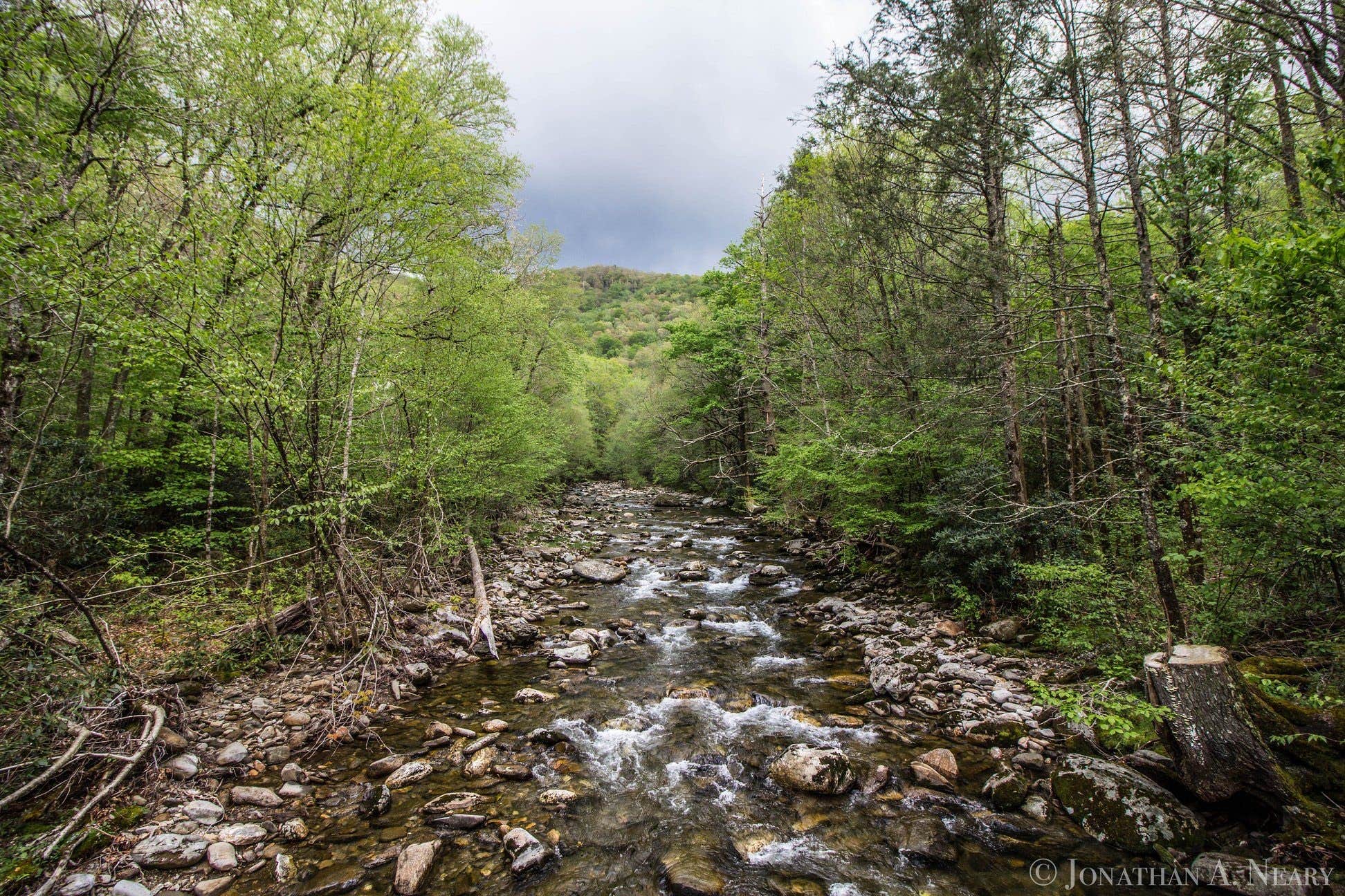 Black Mountain / South Toe River Area Camping | Pisgah Forest, NC