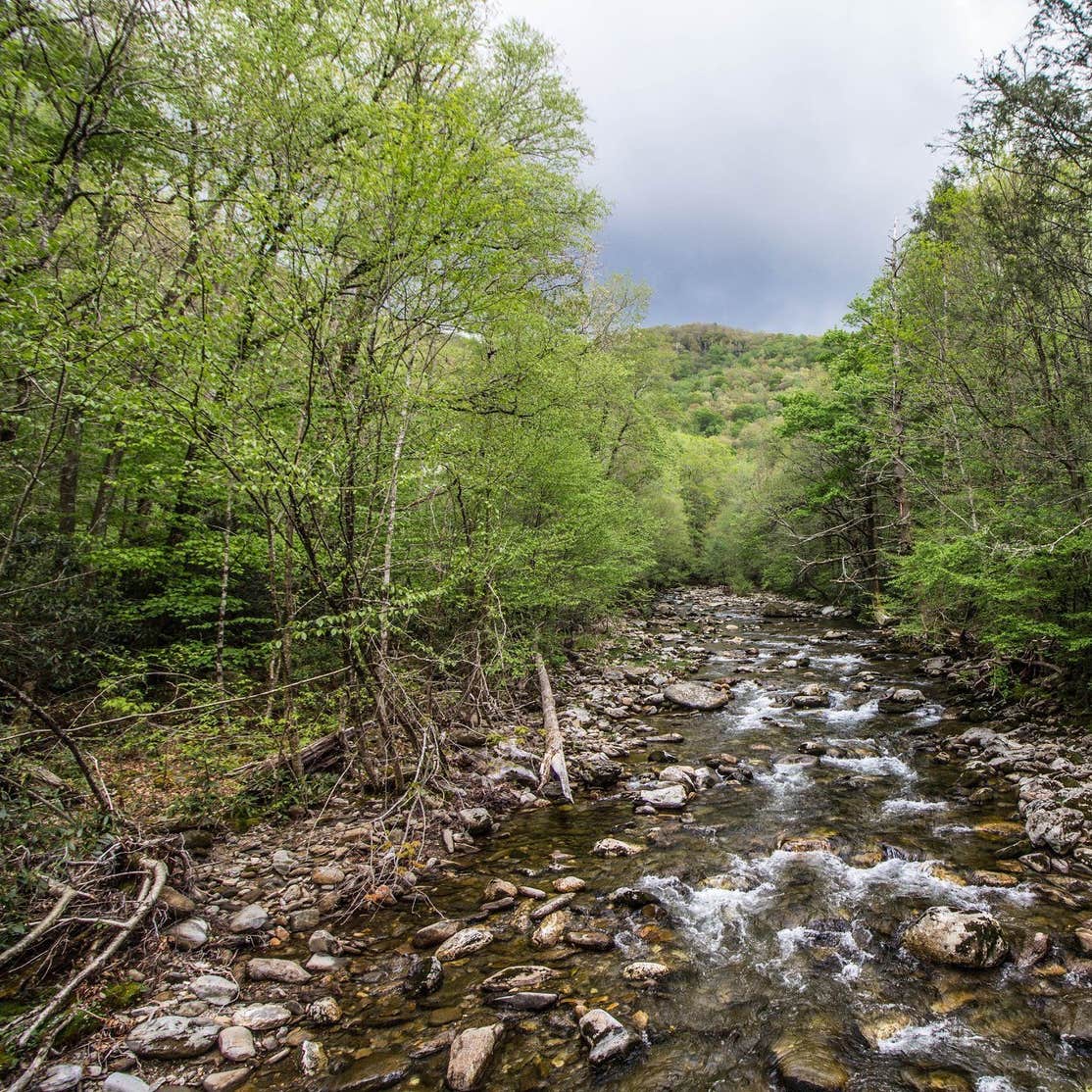 Black Mountain / South Toe River Area Camping | Pisgah Forest, North ...