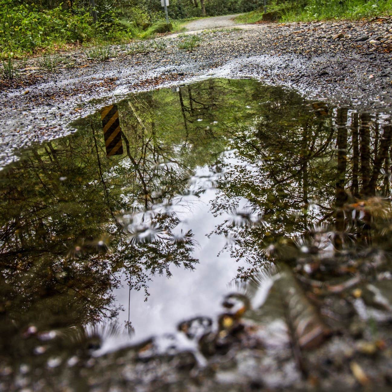 Black Mountain / South Toe River Area Camping | Pisgah Forest, North ...