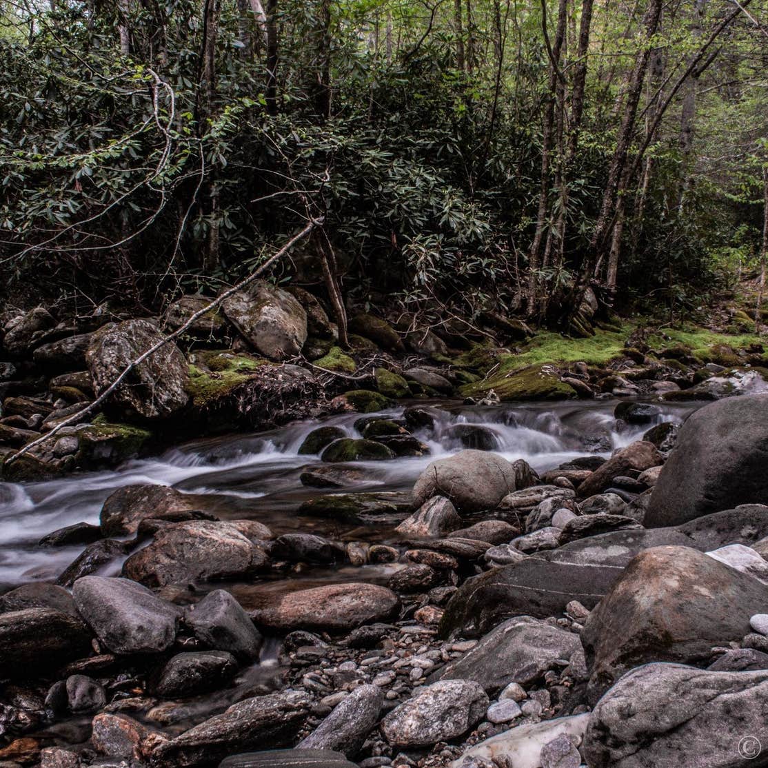 Black Mountain / South Toe River Area Camping | Pisgah Forest, North ...