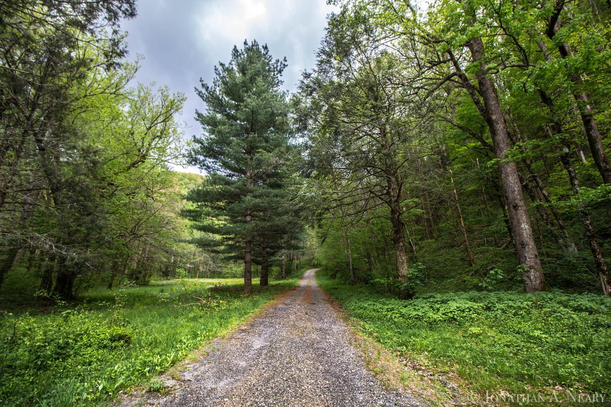 Black Mountain / South Toe River Area Camping | Pisgah Forest, NC