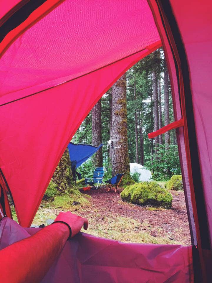Beaver Bay Campground | Cougar, WA