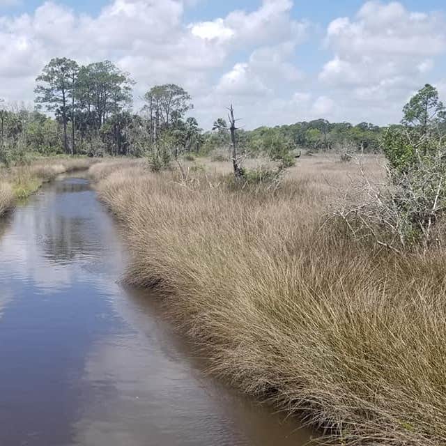 Princess Place Preserve Camping | The Dyrt