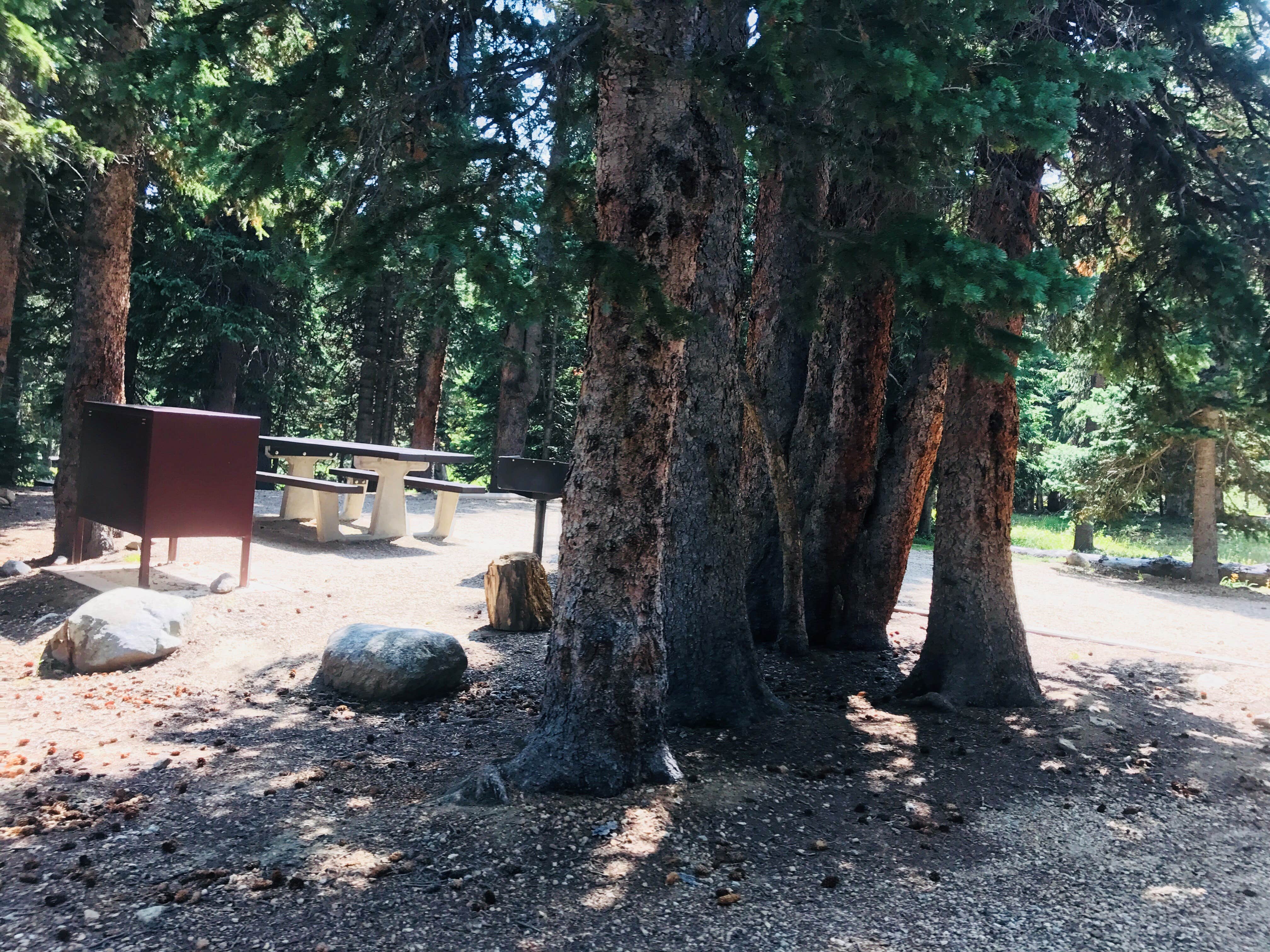 Pawnee Campground | Ward, Colorado