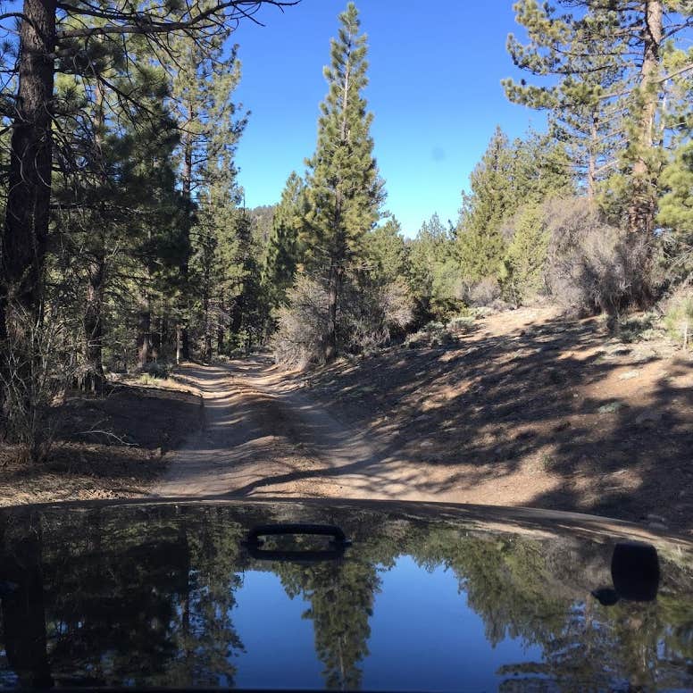 Holcomb Valley Campground Camping | The Dyrt
