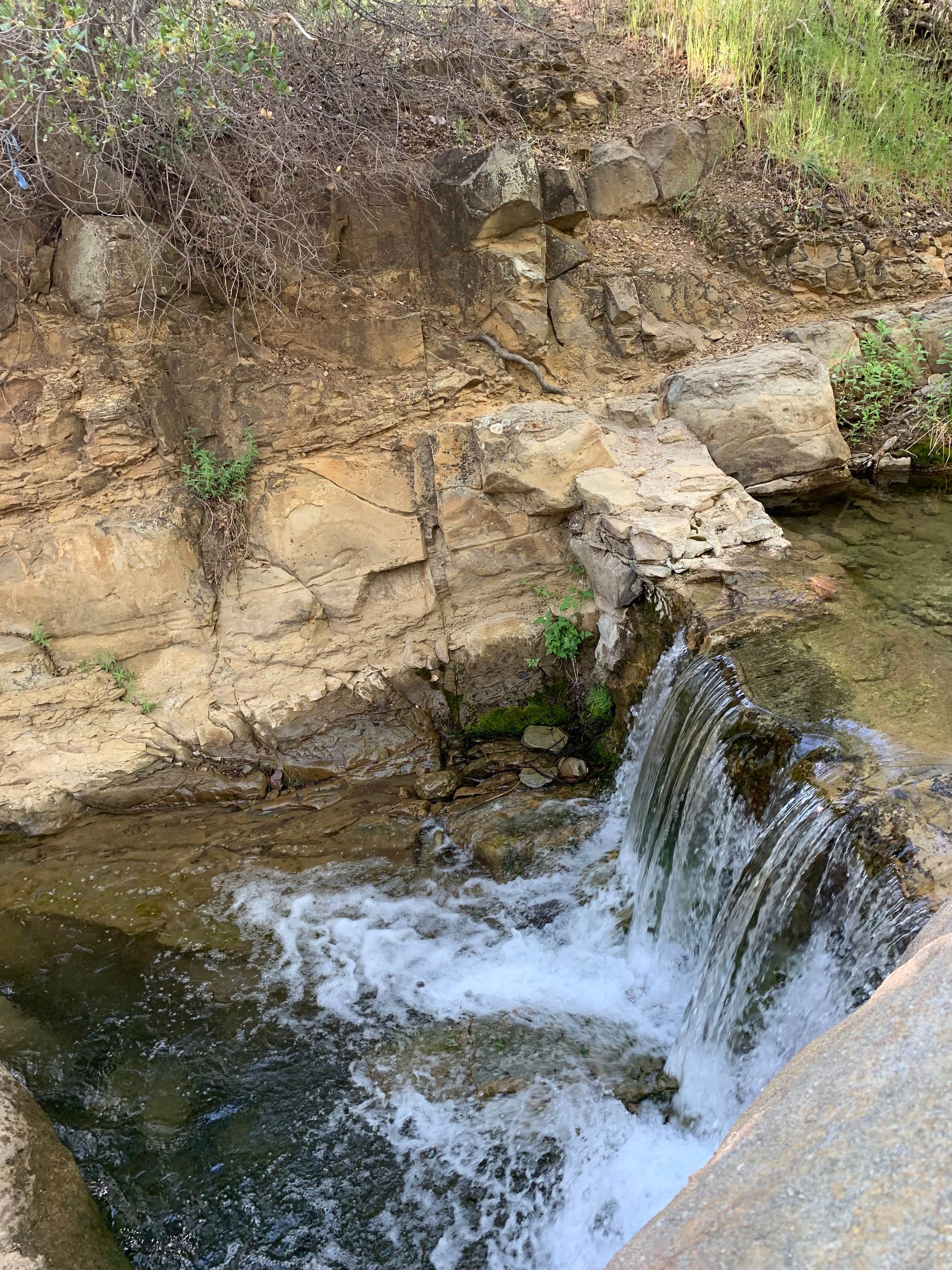 Reyes Creek Campground | The Dyrt