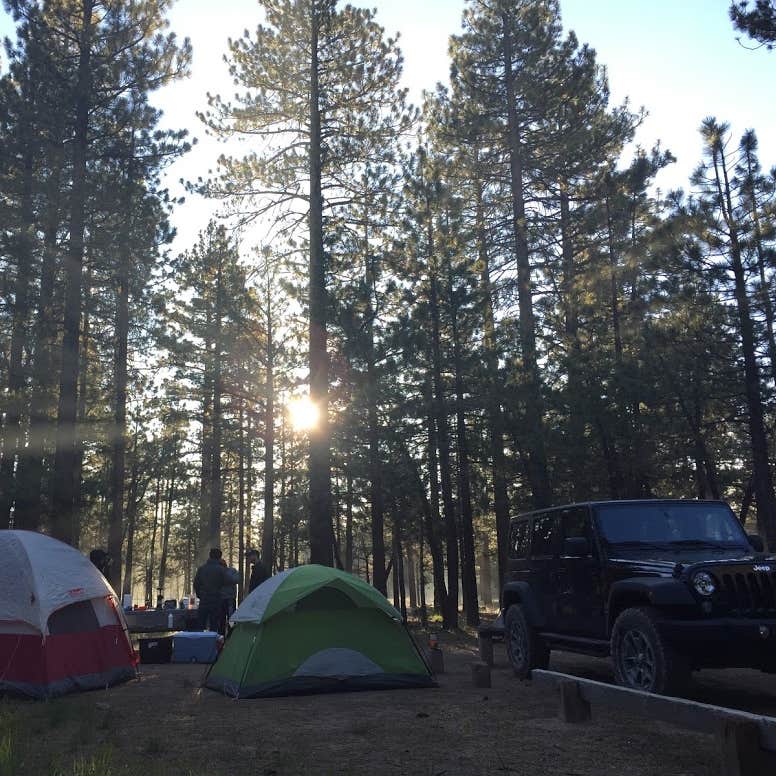 Holcomb Valley Campground Camping | The Dyrt
