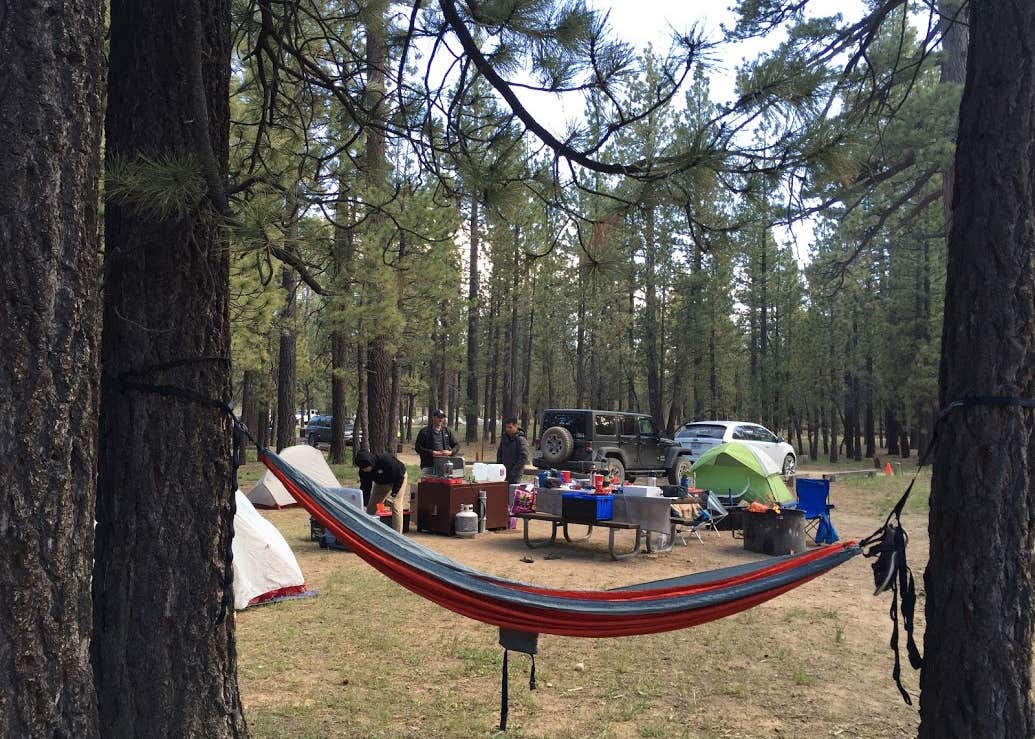 Holcomb Valley Campground Camping | The Dyrt