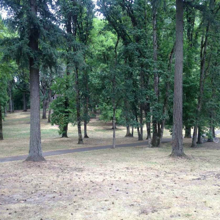 Champoeg State Heritage Area Camping | The Dyrt