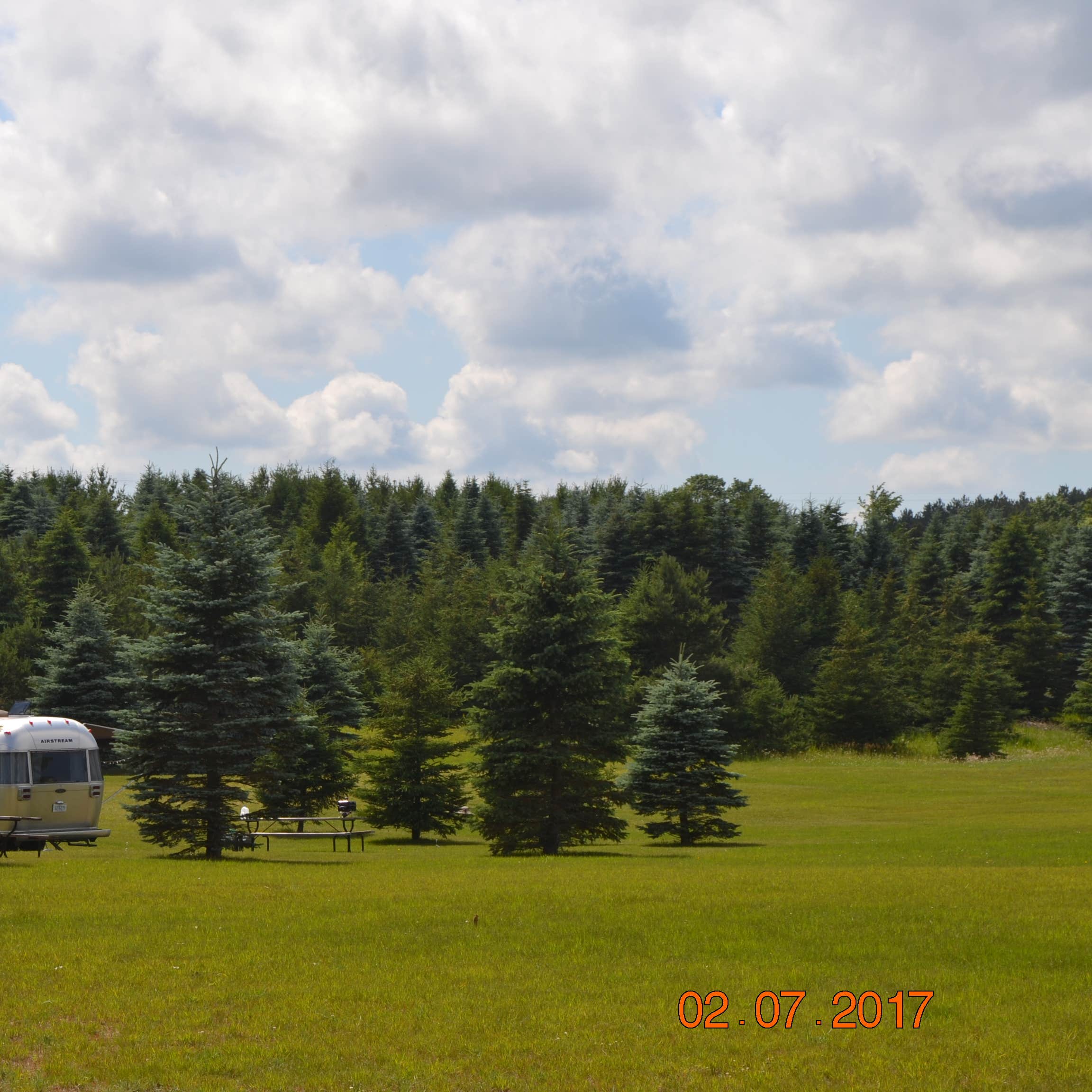 Starlight Campground and RV Park Camping | The Dyrt