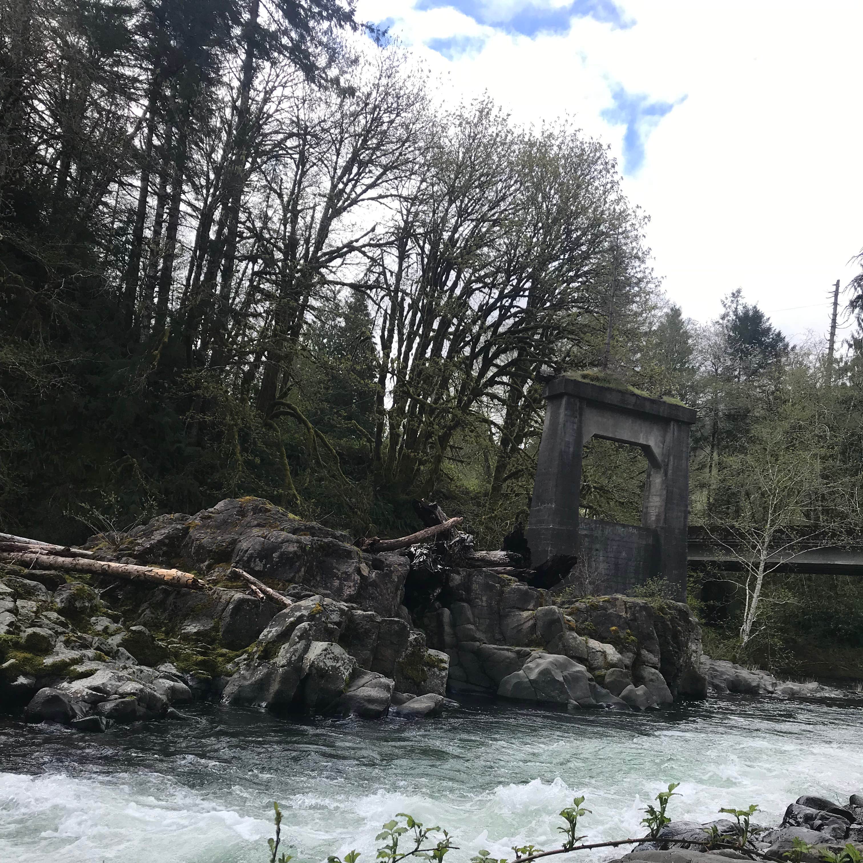 Trask River County Park Camping | The Dyrt